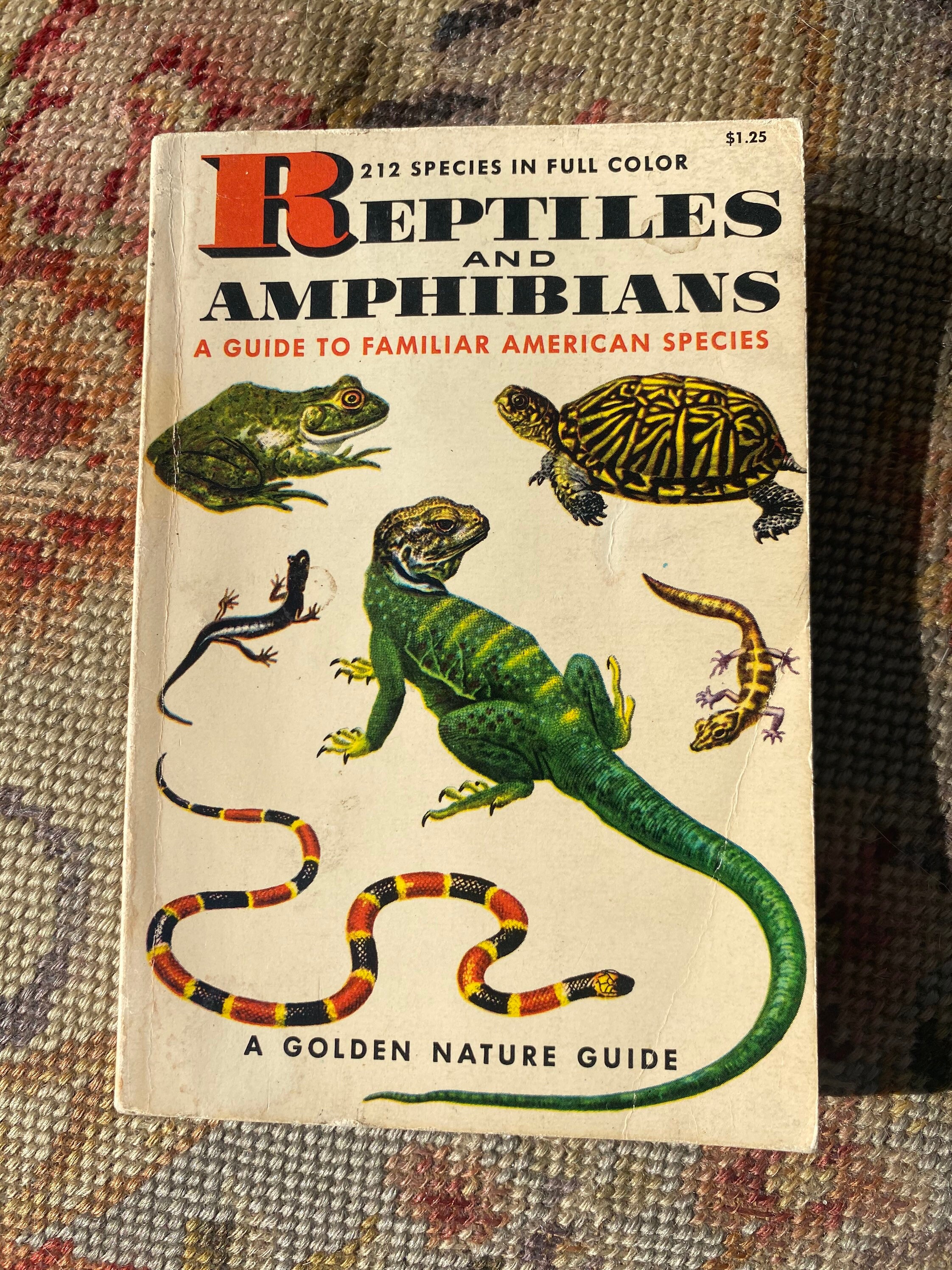 Vintage “A Golden Guide” Books - Etsy