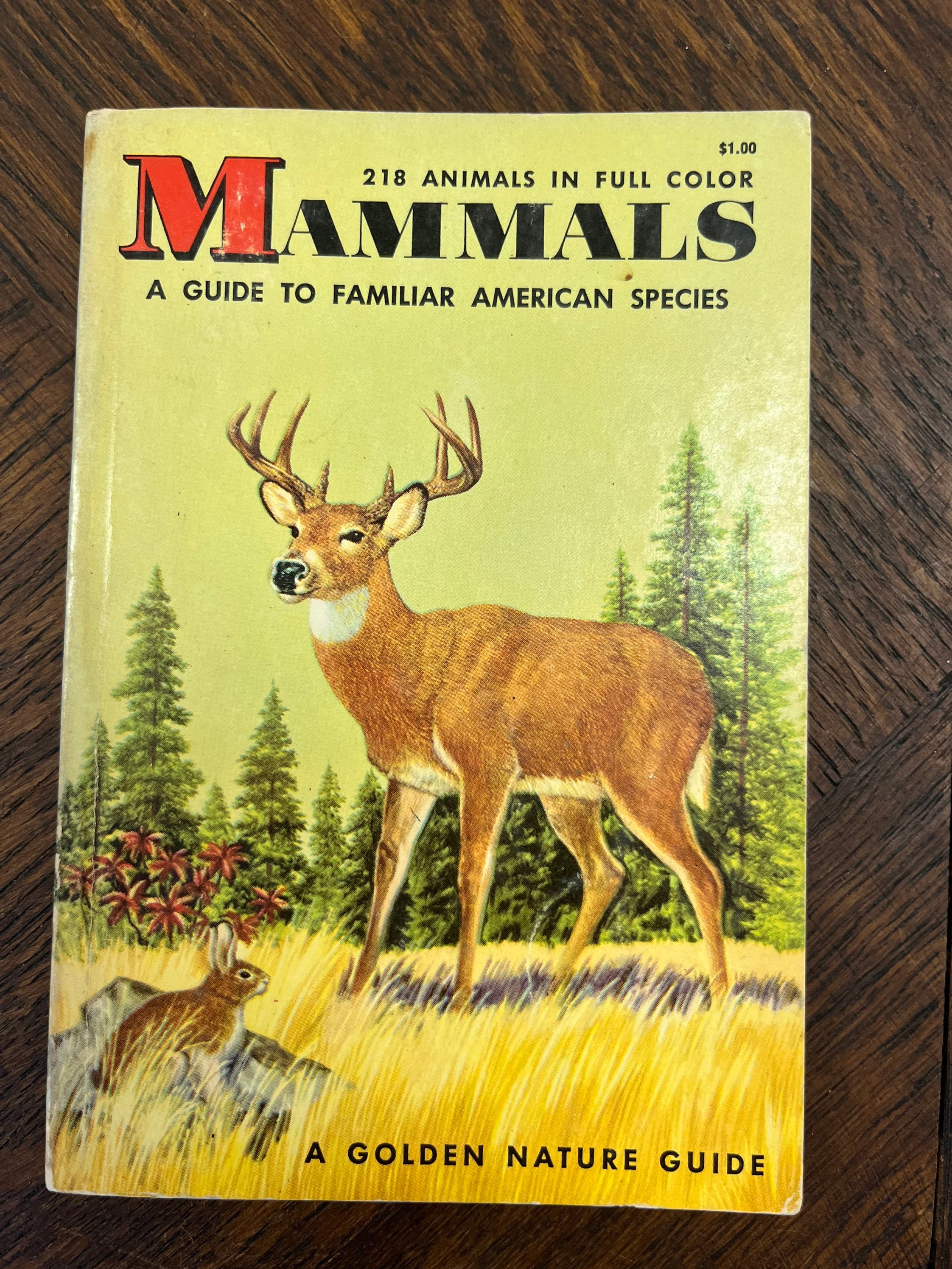 Vintage “A Golden Guide” Books - Etsy