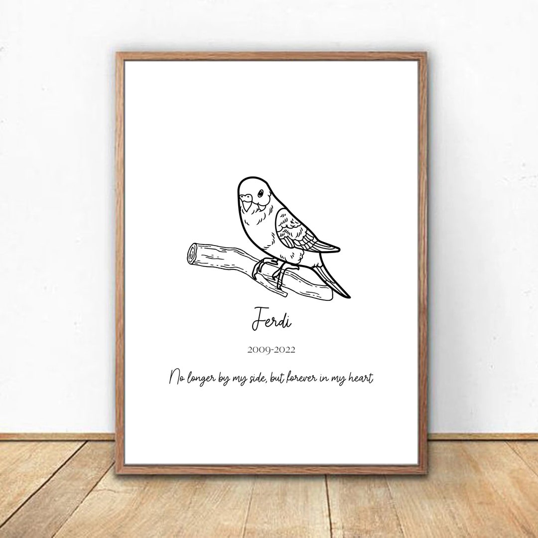 Custom Parakeet Loss Print | Pet Bird Memorial | Grief Remembrance - Etsy