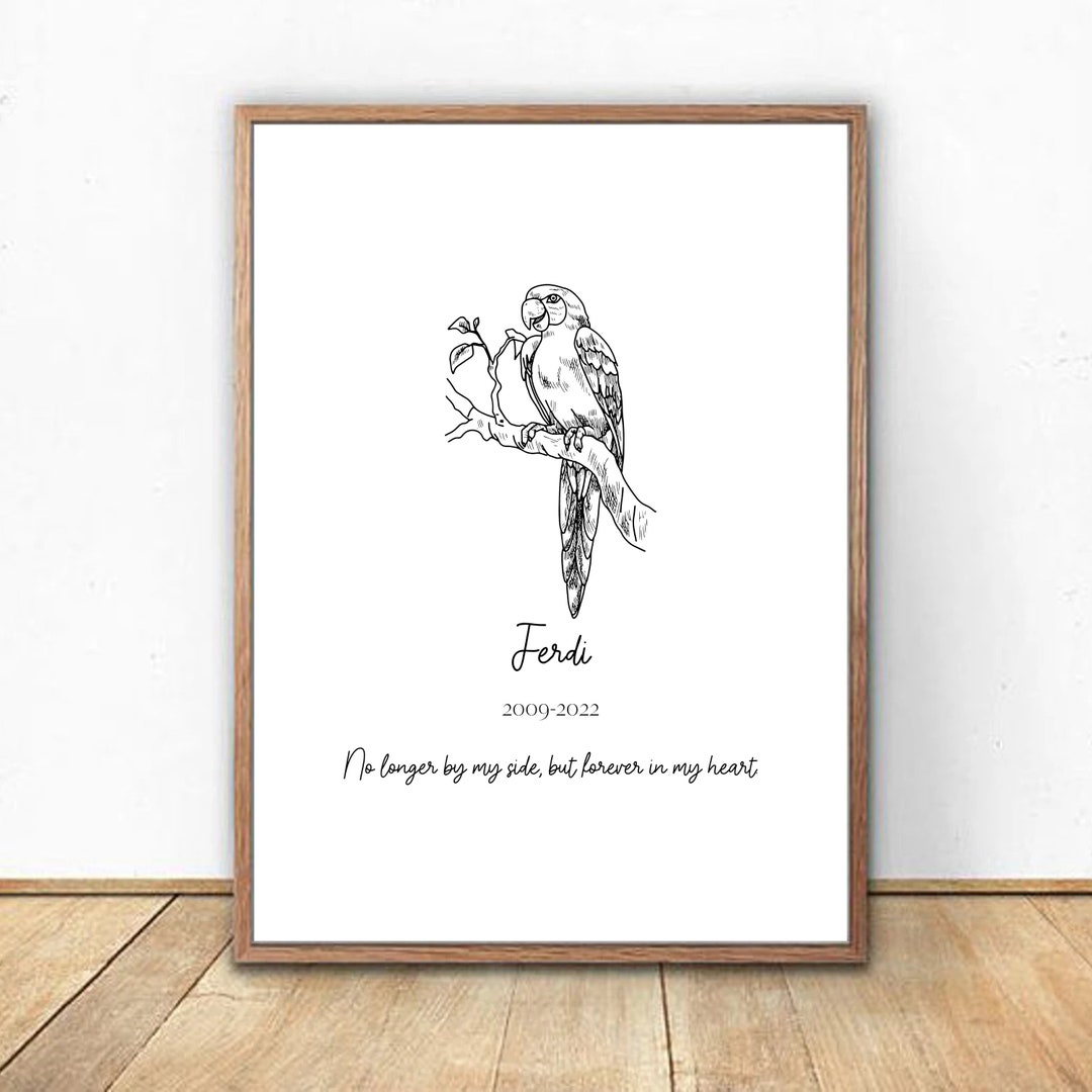 Custom Parrot Loss Print | Pet Parrot Memorial | Grief Remembrance - Etsy