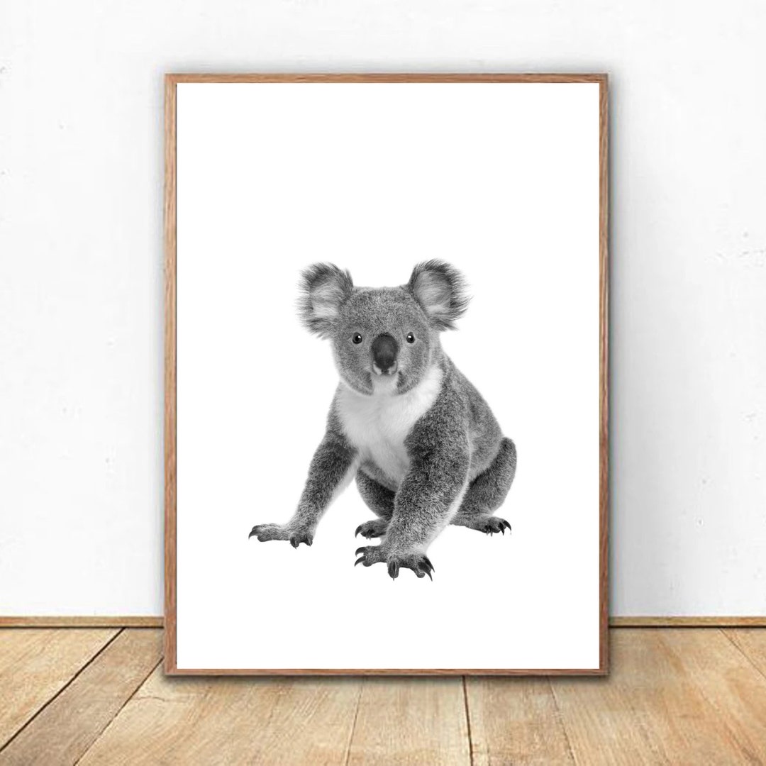 Koala Bear Print - Etsy