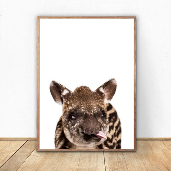 Funny Tapir Animal Print - Etsy