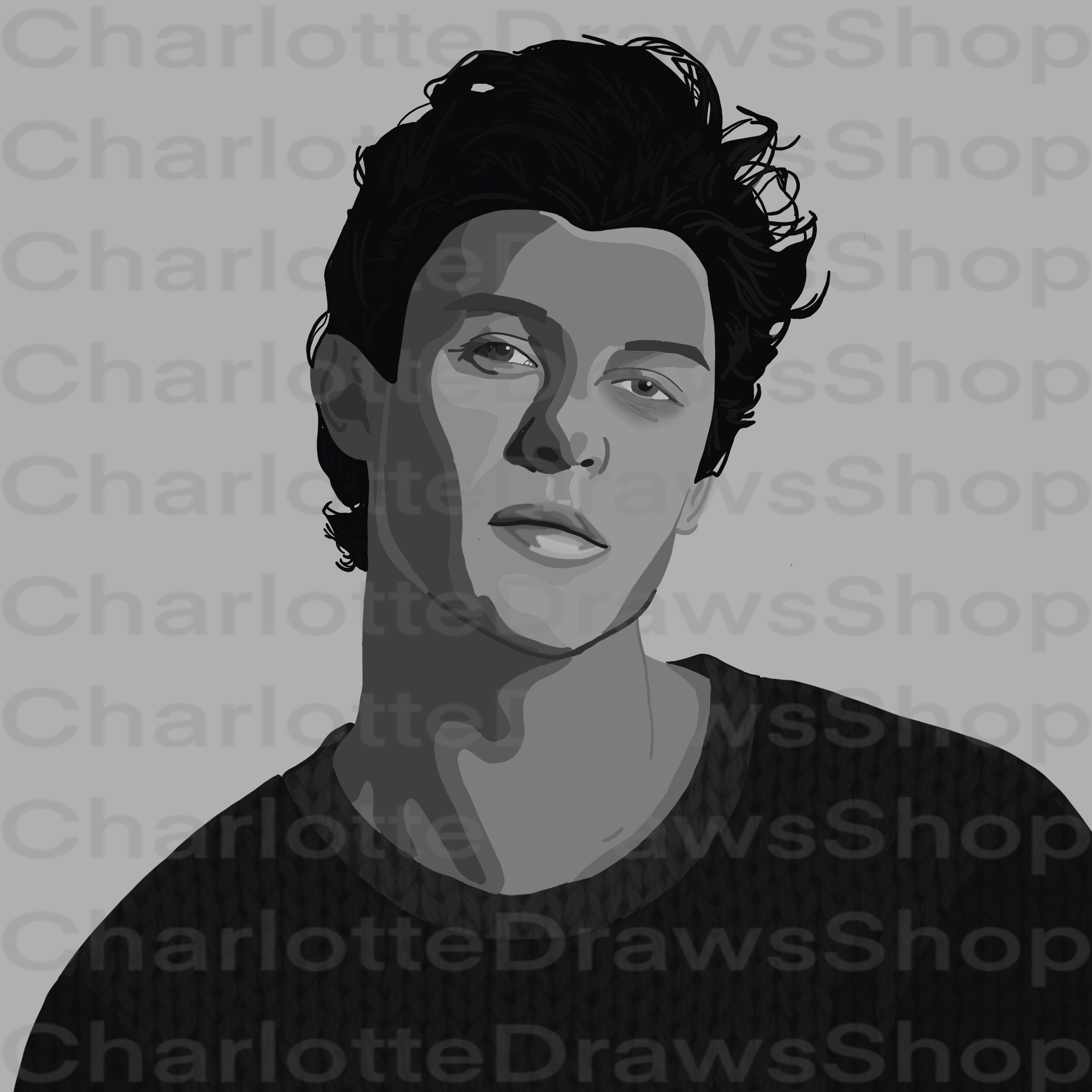 Shawn Mendes Black and White Digital Drawing - Etsy