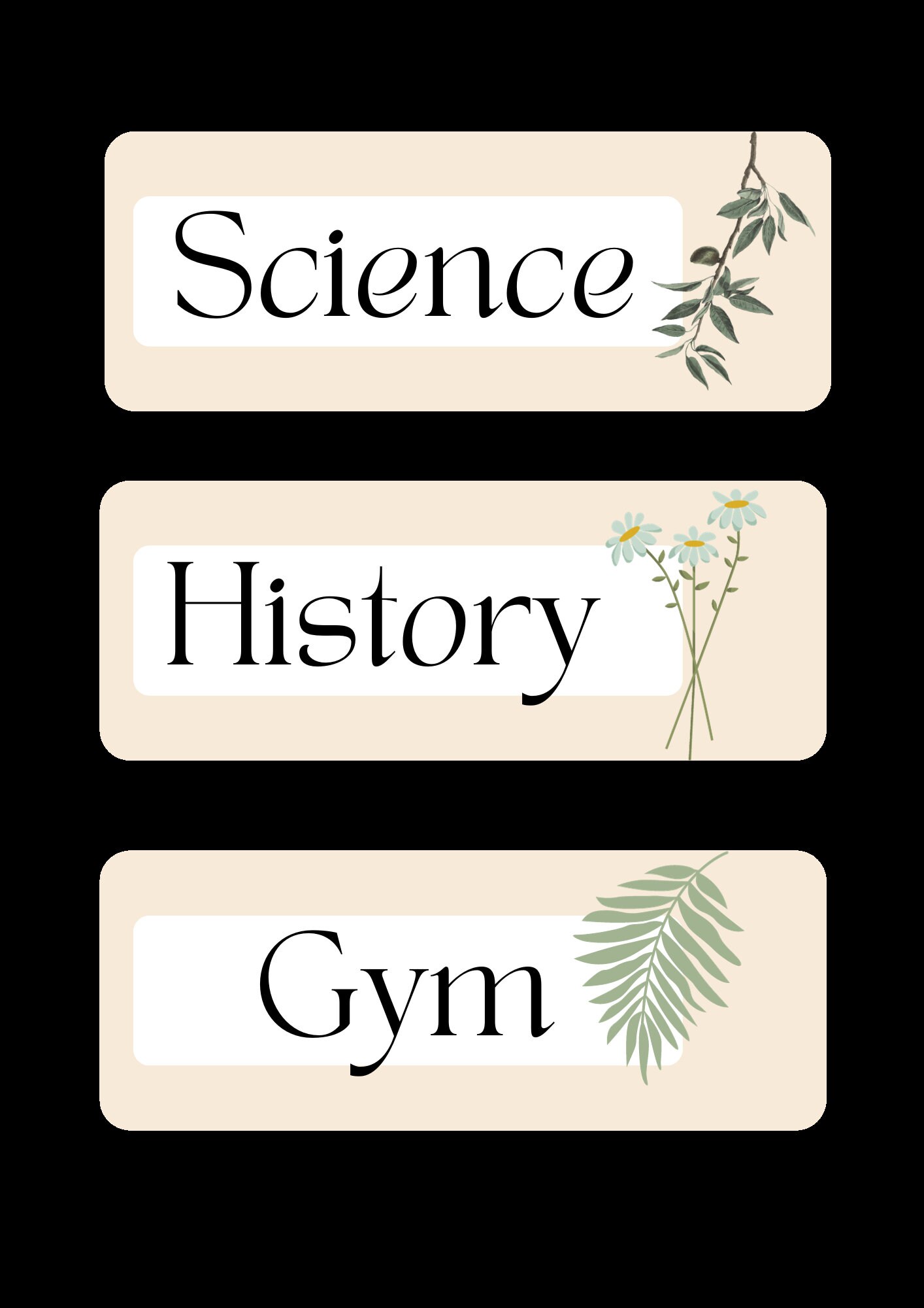 Editable Daily Class Schedule - Shape of the Day - Boho Plant Theme ...