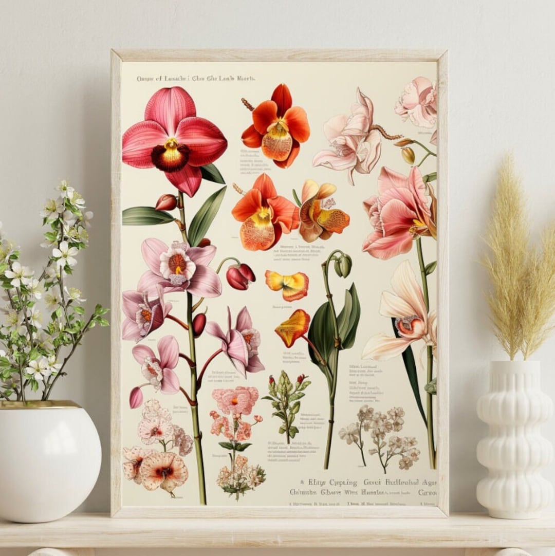 Vintage Orchid Print, Floral Art, Vintage Nature - Etsy