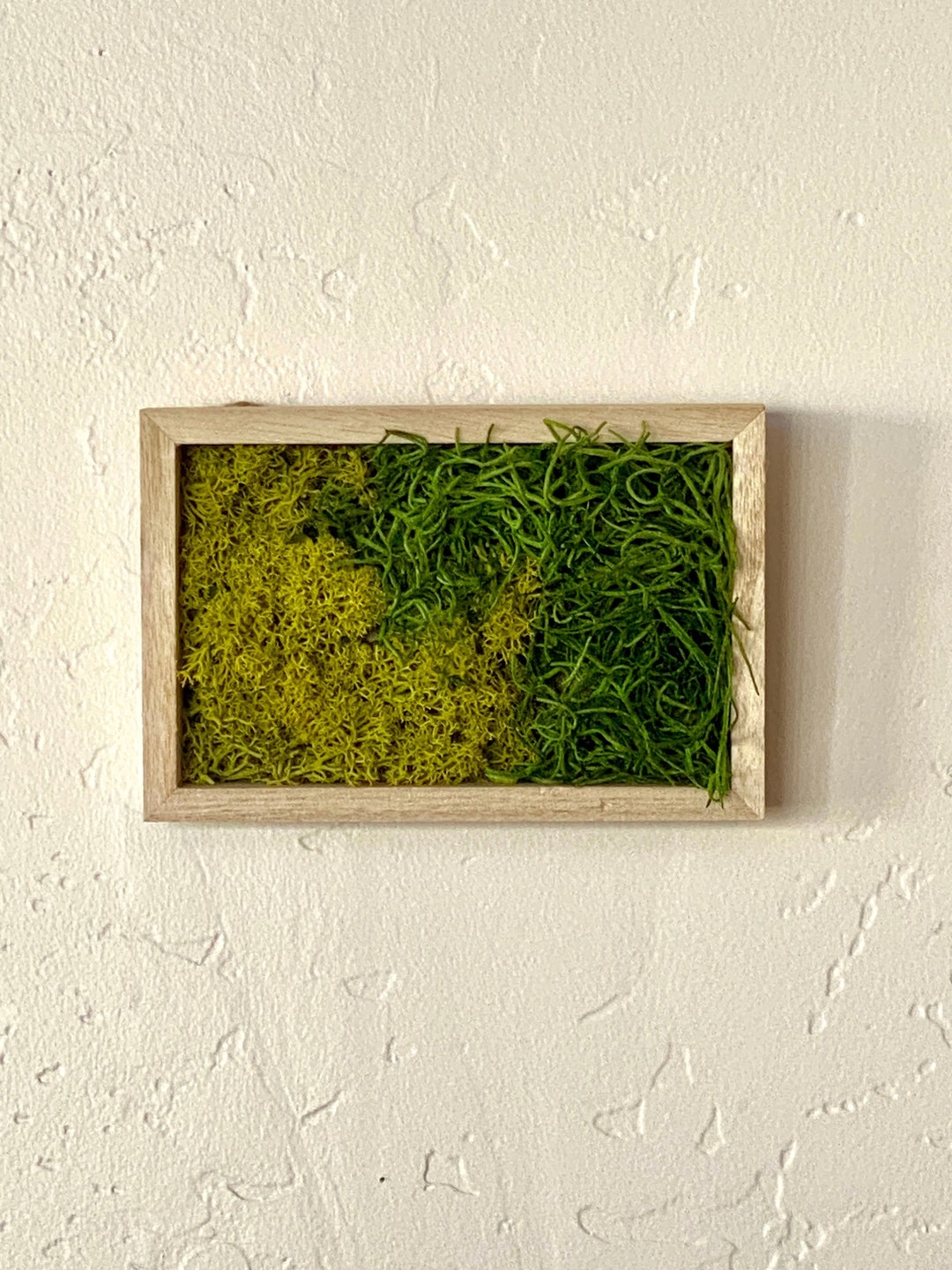 Moss Frame | Moss Board | Art | Art Hanging | Picture | Home Decor ...