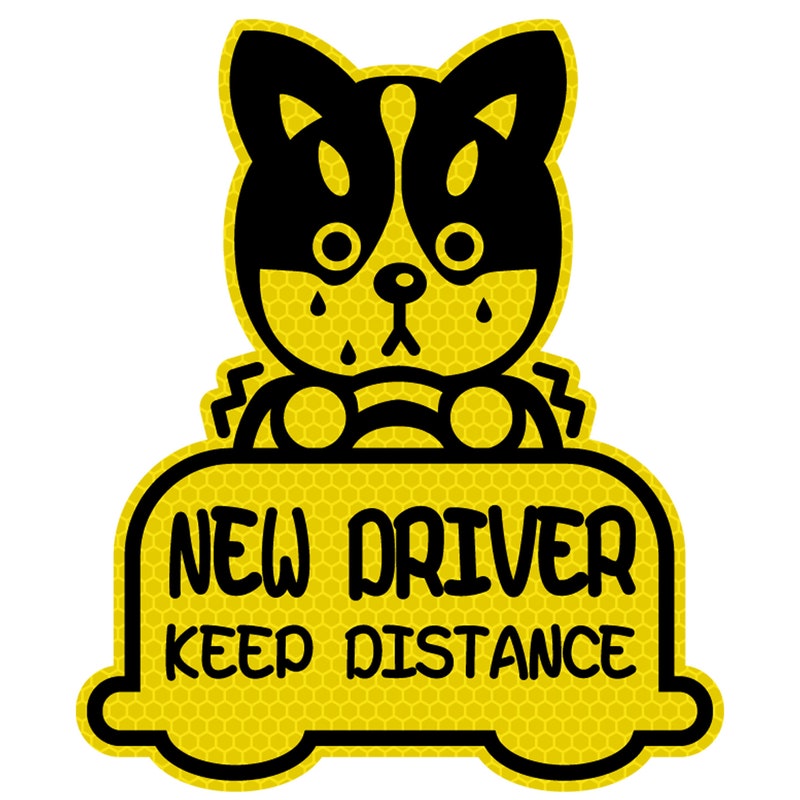 New Driver Sticker - Etsy