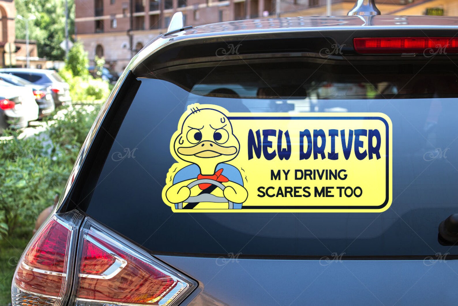 New Driver Sign Student Driver Decal Bumper Sticker Print and Cut SVG ...