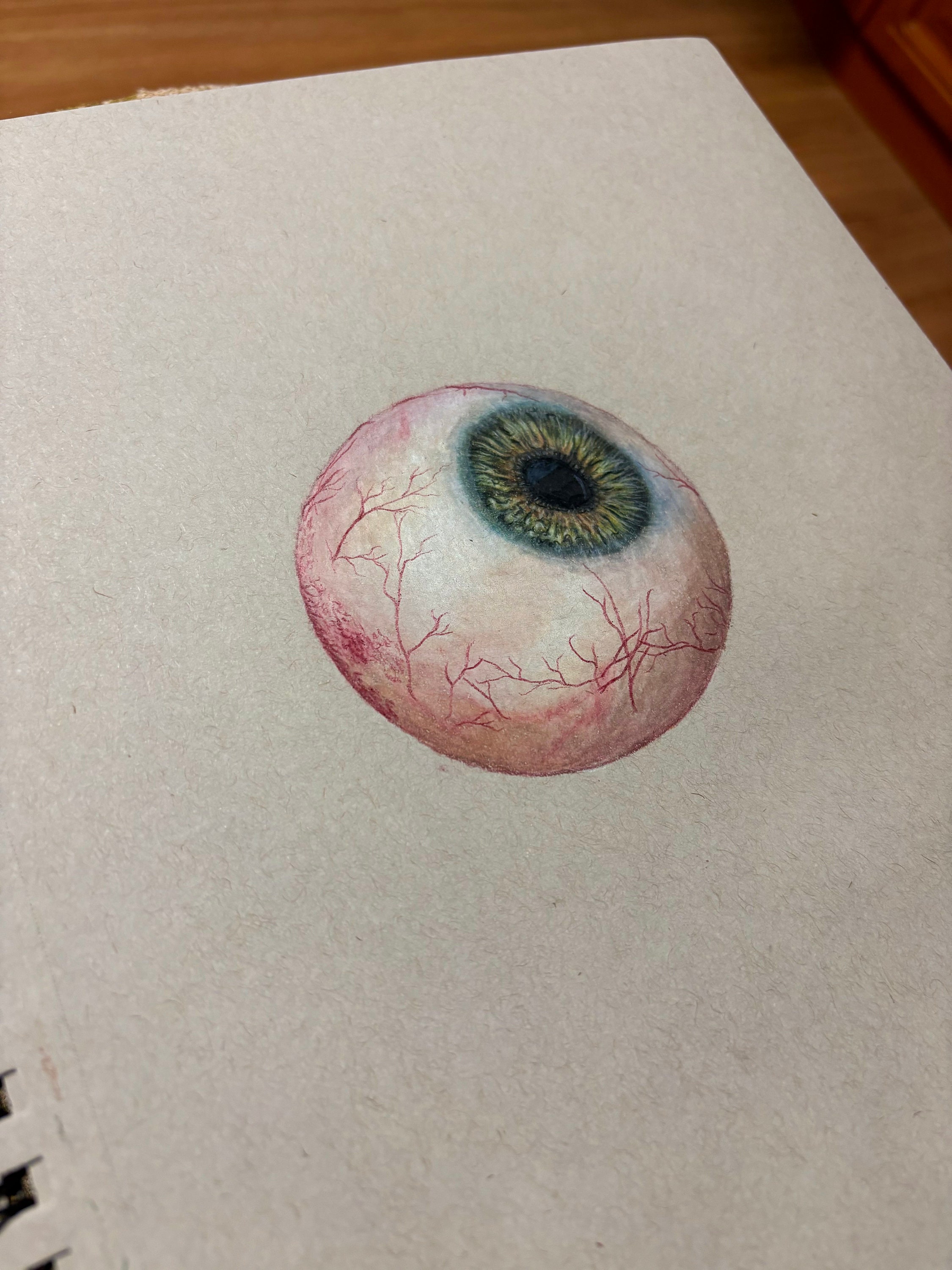 Eyeball Drawing Realistic - Etsy UK