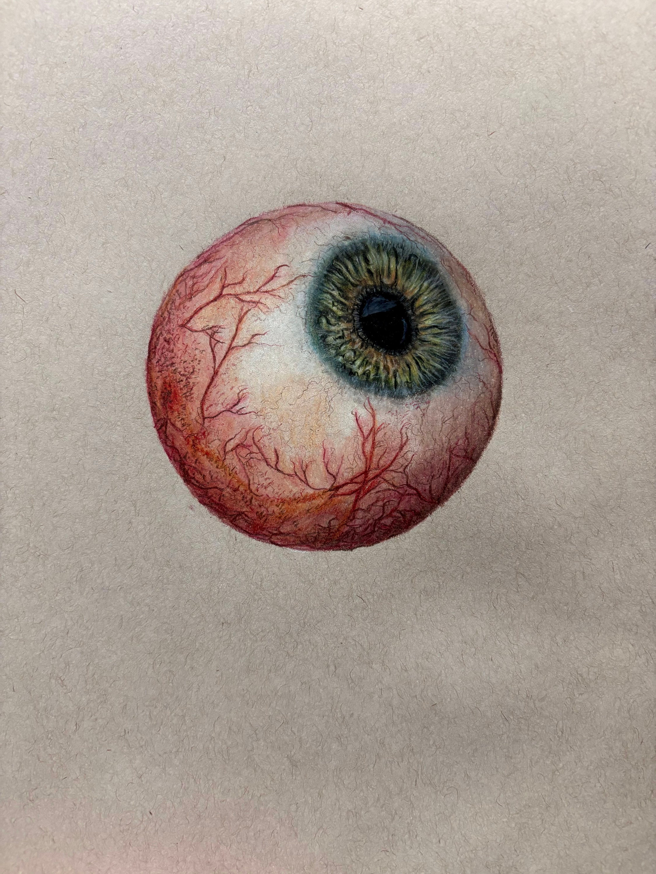 Eyeball Drawing Realistic - Etsy UK