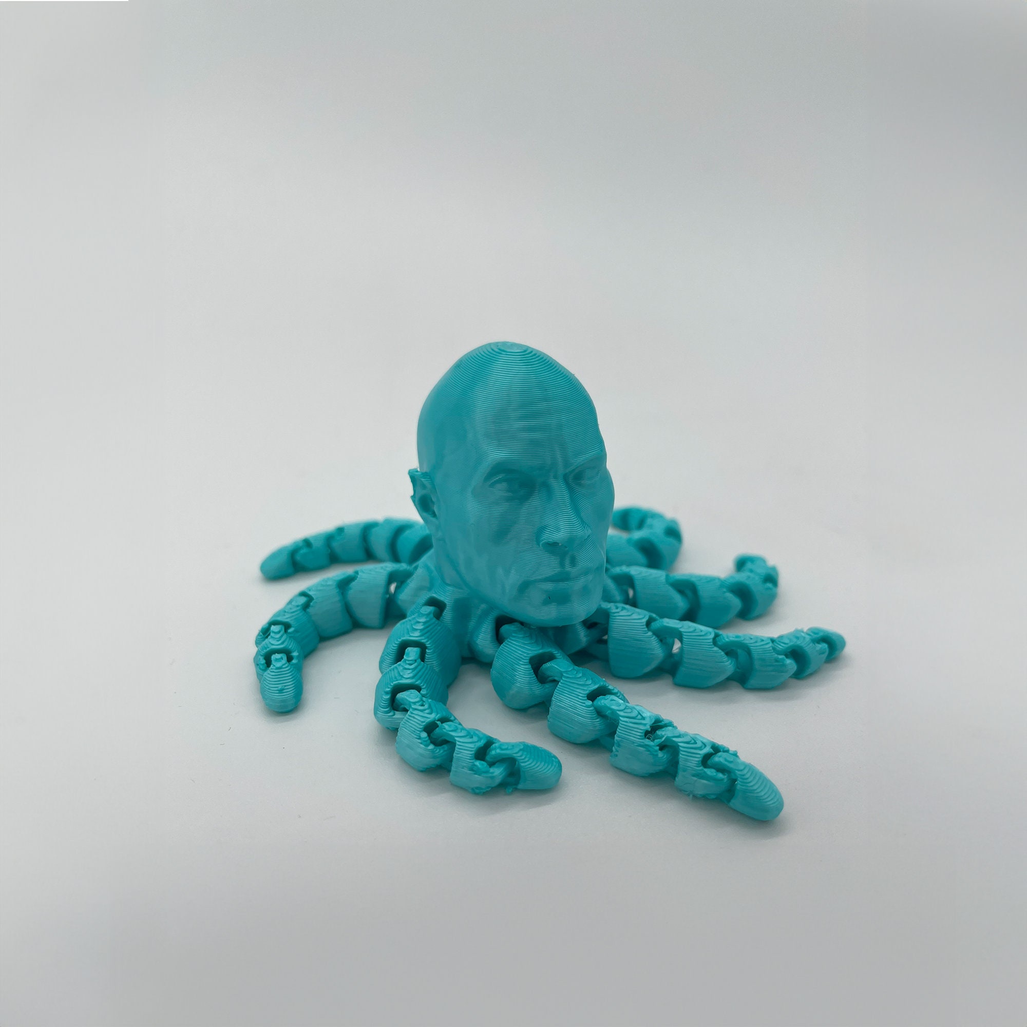 Therocktopus Dwayne Johnson Fidget Toy 3D Printed the Rock - Etsy