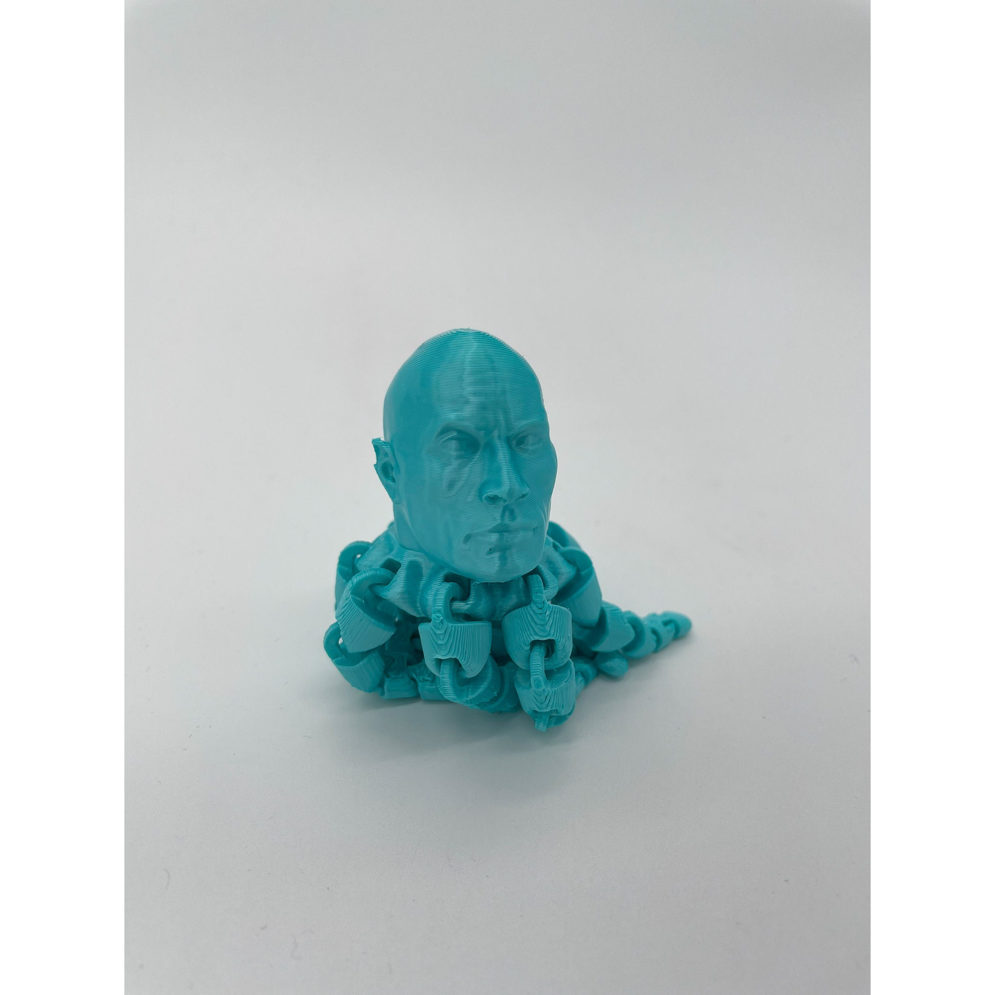Therocktopus Dwayne Johnson Fidget Toy 3D Printed the Rock - Etsy