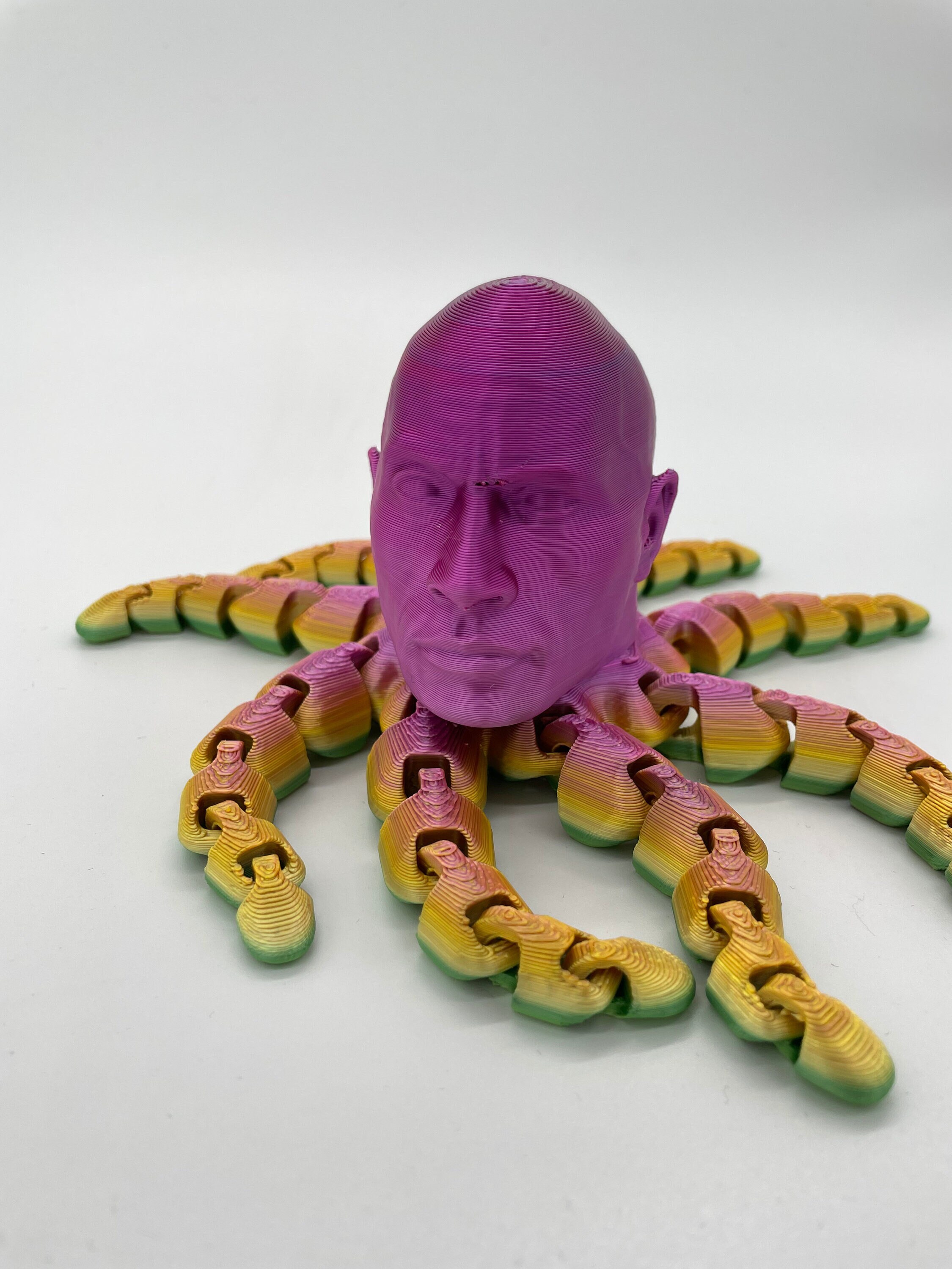 Therocktopus Dwayne Johnson Fidget Toy 3D Printed the Rock - Etsy