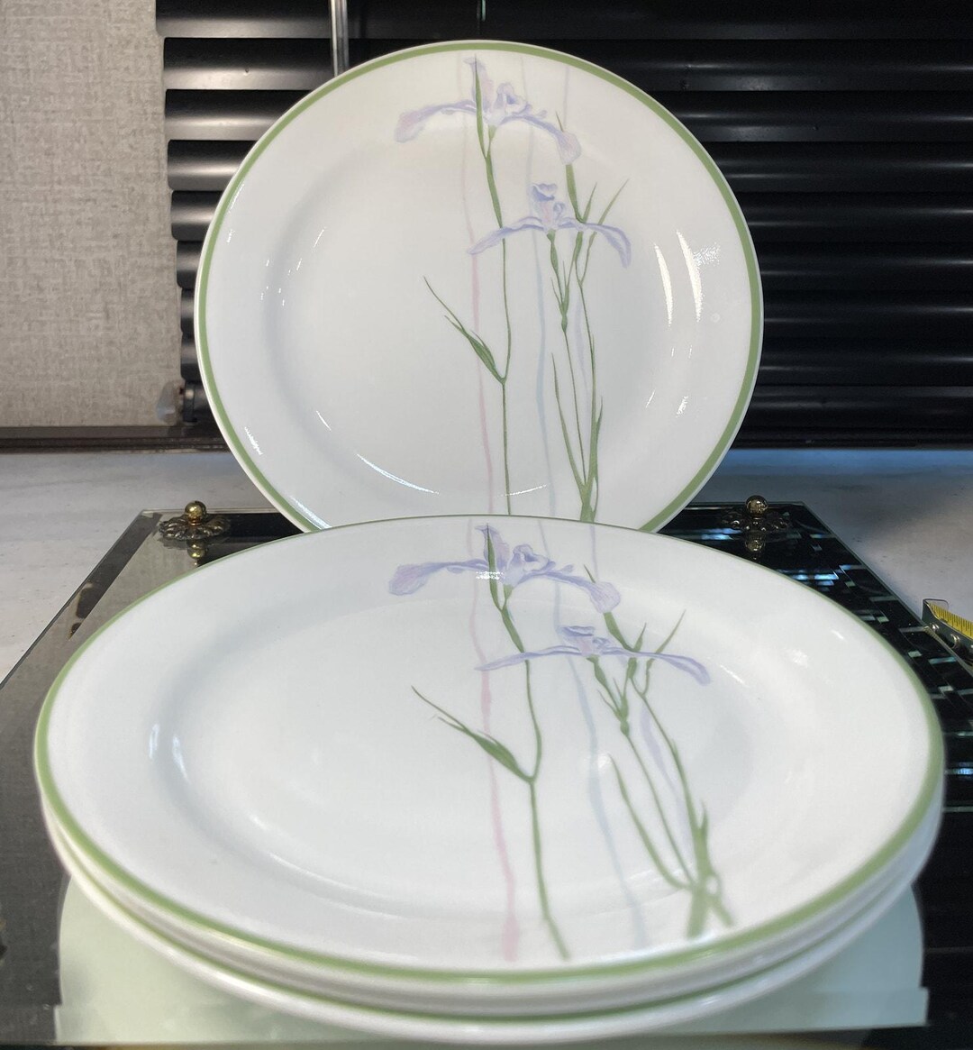Vintage Set of 4 Shadow Iris Corelle Dinner Plates New - Etsy