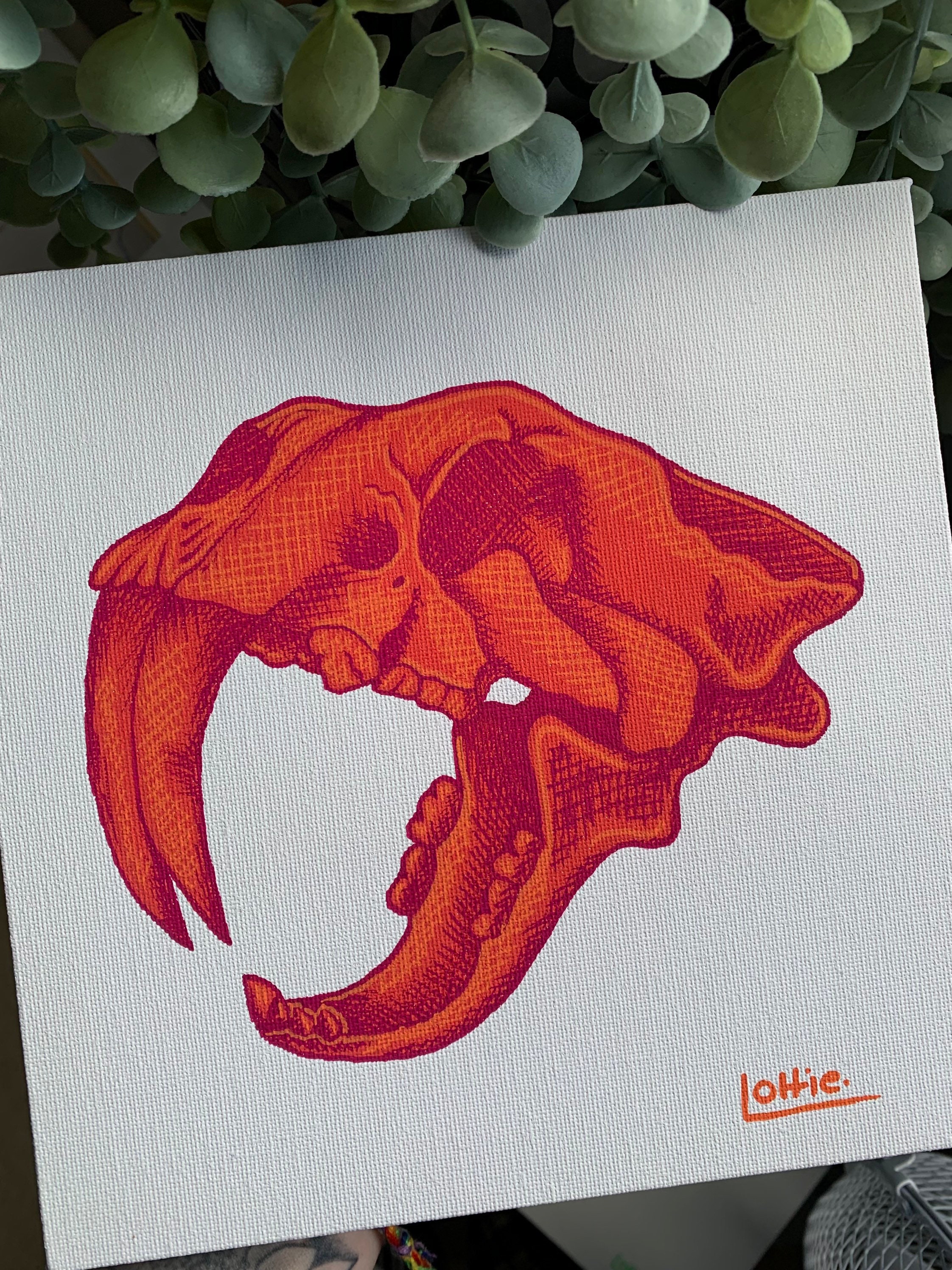 Sabre Tooth Tiger Skull - Etsy