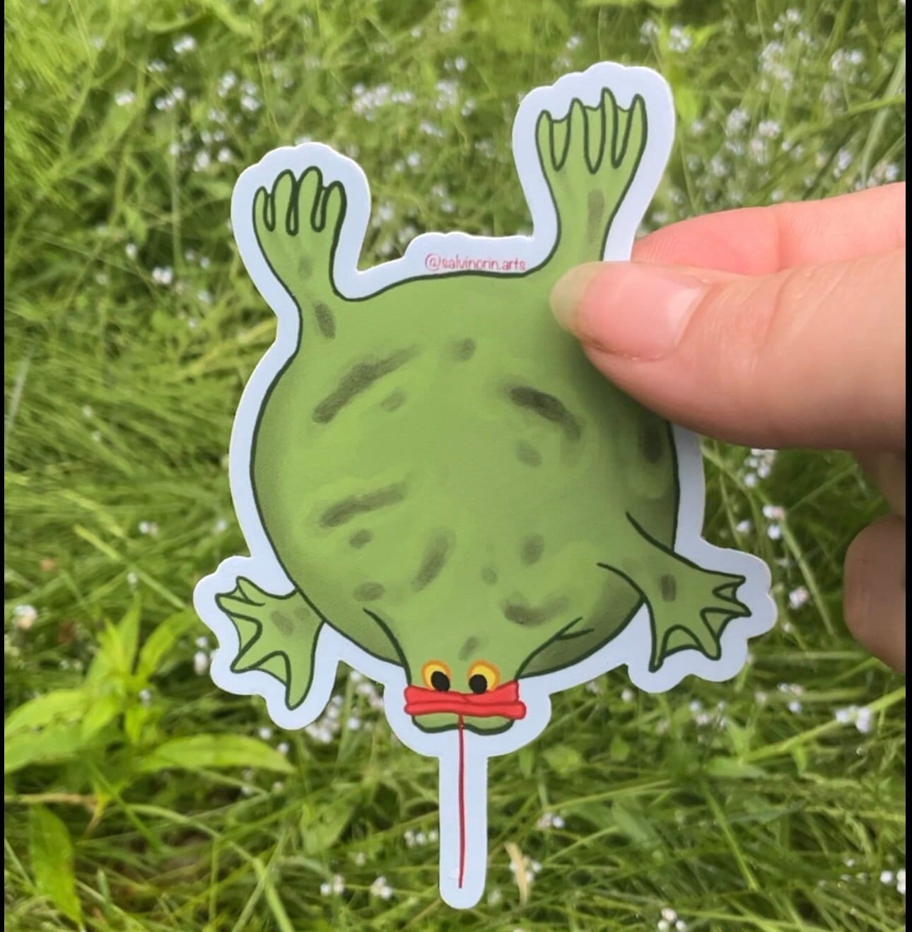 Shrek Inspired Frog Balloon Sticker - Etsy