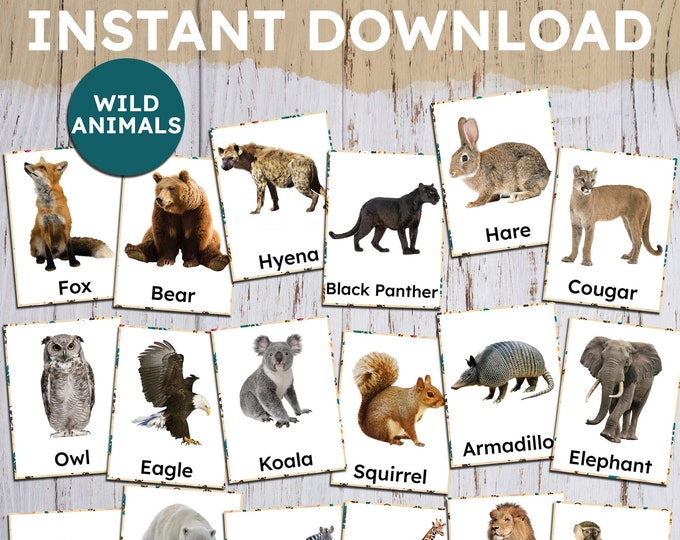 DESERT ANIMALS • 24 Editable Montessori Cards • Flash Cards ...