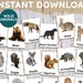 WILD ANIMALS, INSTANT Download Montessori Cards, Printable Montessori ...