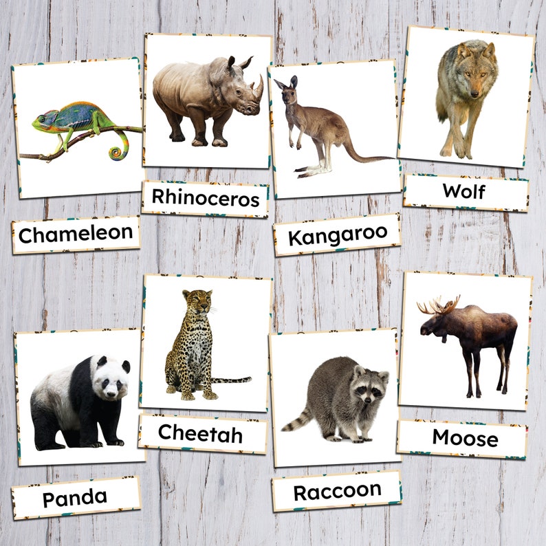 WILD ANIMALS, INSTANT Download Montessori Cards, Printable Montessori ...