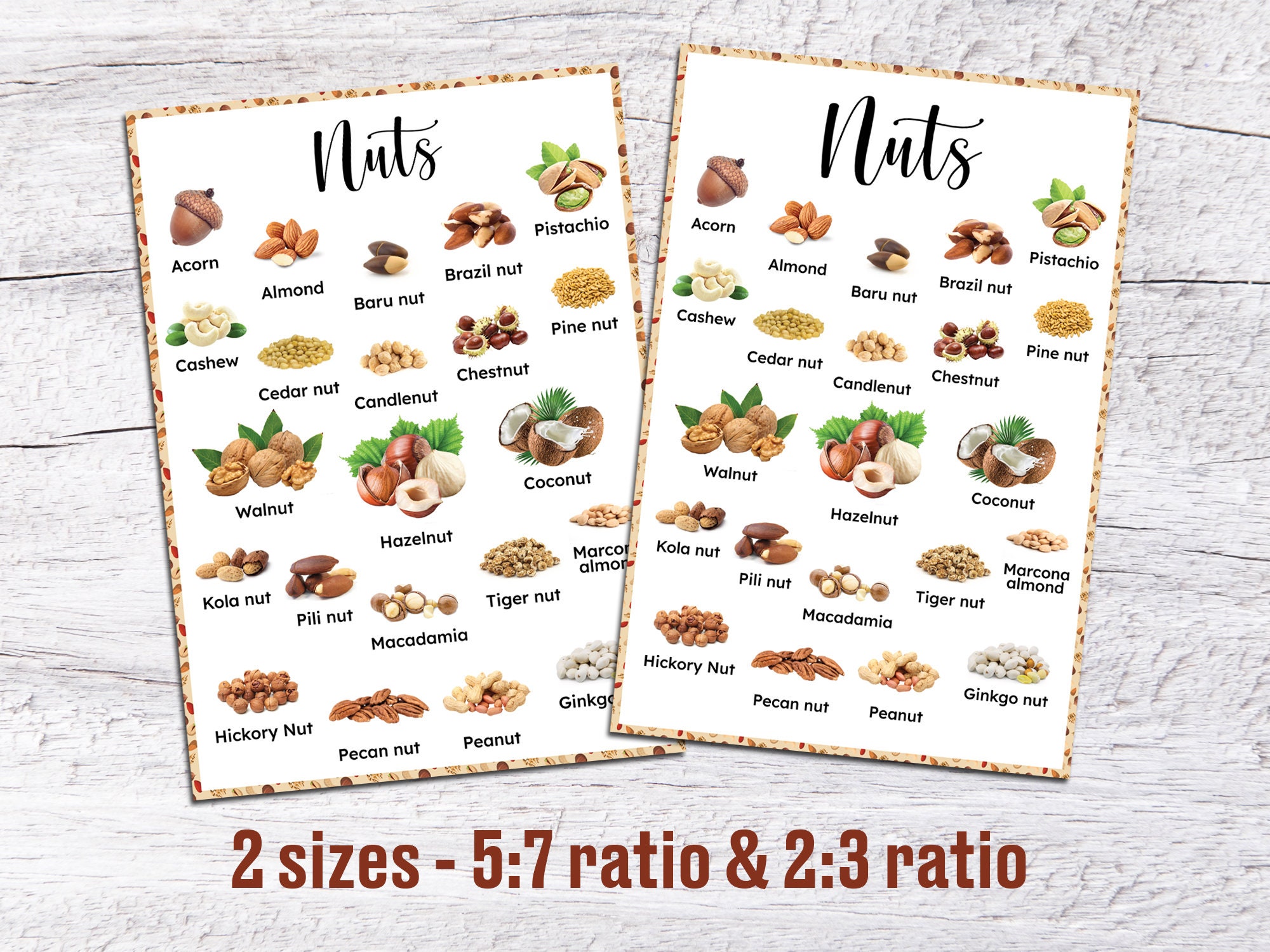 Nuts Poster, INSTANT DOWNLOAD Montessori Poster, Printable Montessori ...