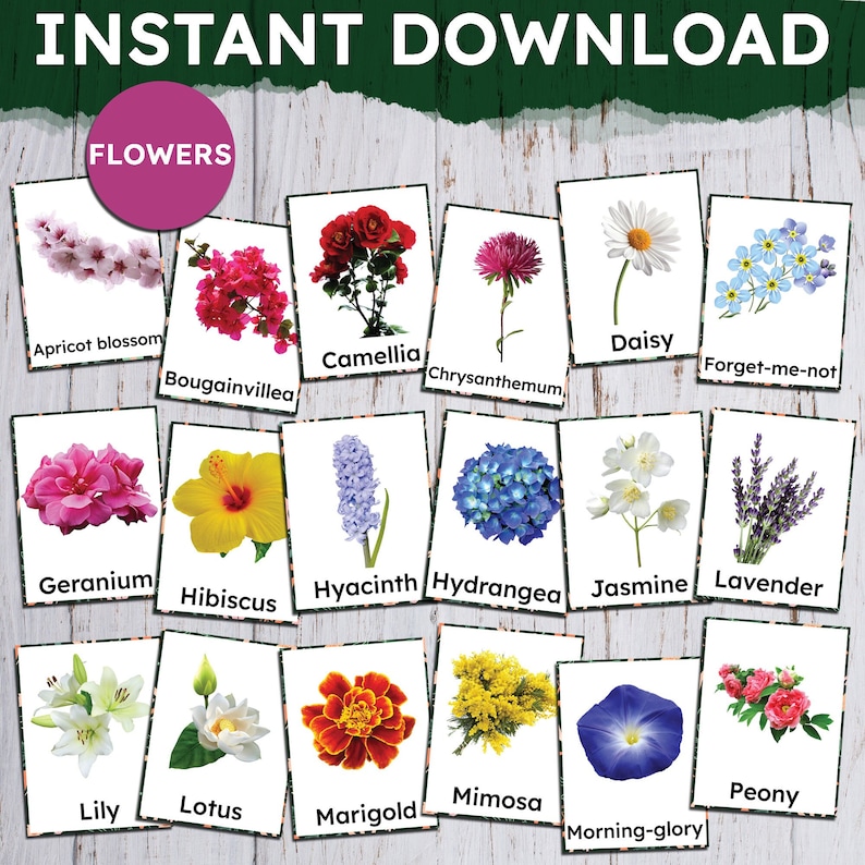 FLOWERS, INSTANT DOWNLOAD Montessori Cards, Printable Montessori Cards ...