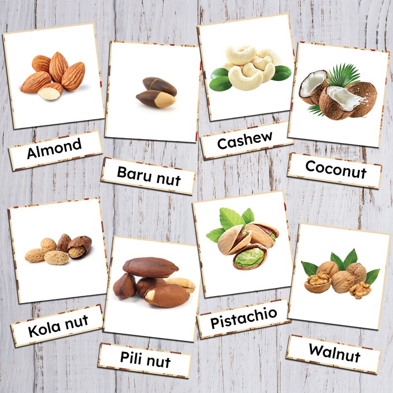NUTS, INSTANT DOWNLOAD Montessori Cards, Printable Montessori Cards ...