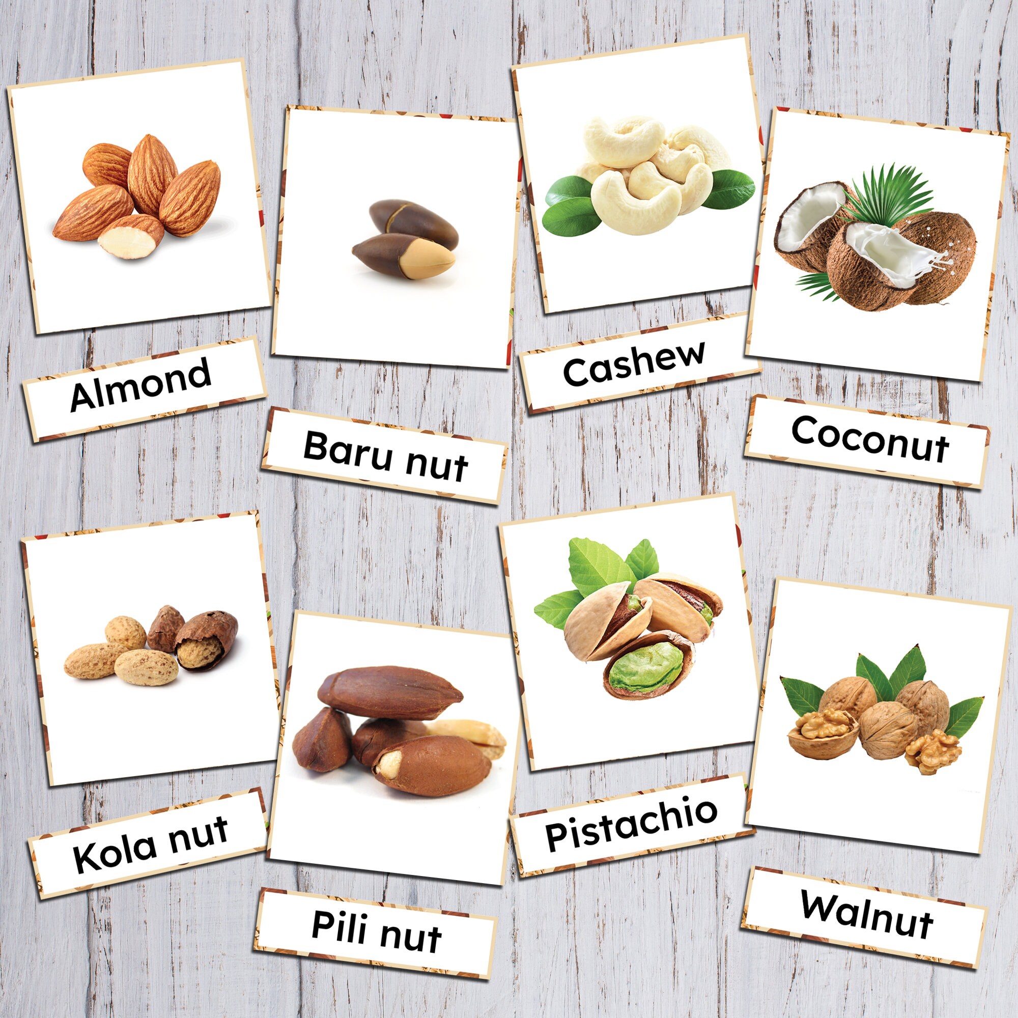 NUTS, INSTANT DOWNLOAD Montessori Cards, Printable Montessori Cards ...