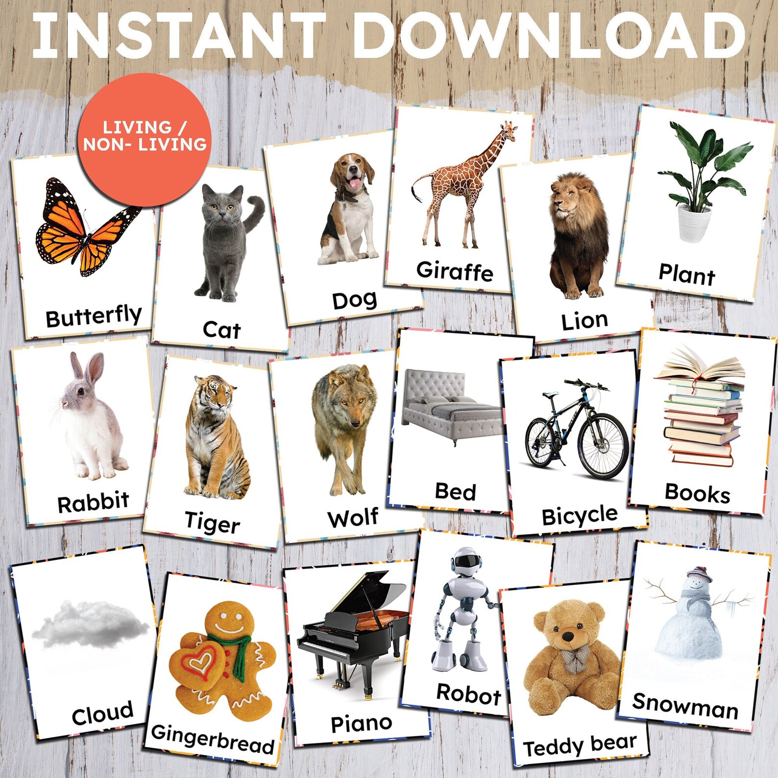 LIVING / NON-LIVING, Instant Download Montessori Cards, Printable ...