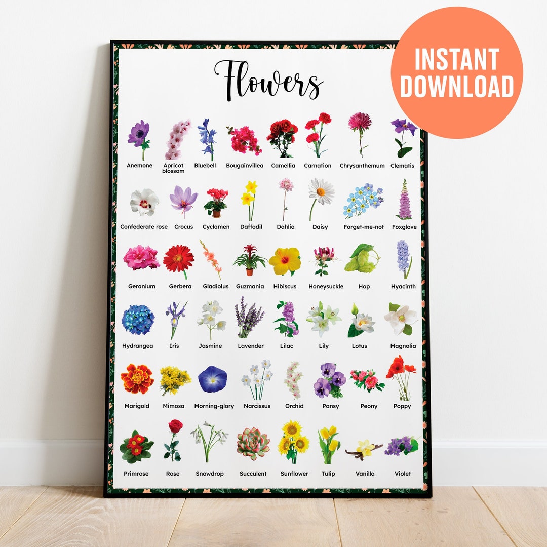 Flowers Poster, INSTANT DOWNLOAD Montessori Poster, Printable ...