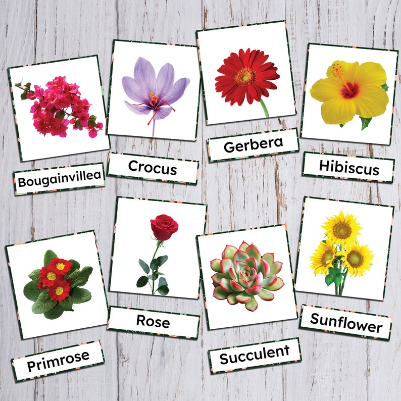 FLOWERS, INSTANT DOWNLOAD Montessori Cards, Printable Montessori Cards ...