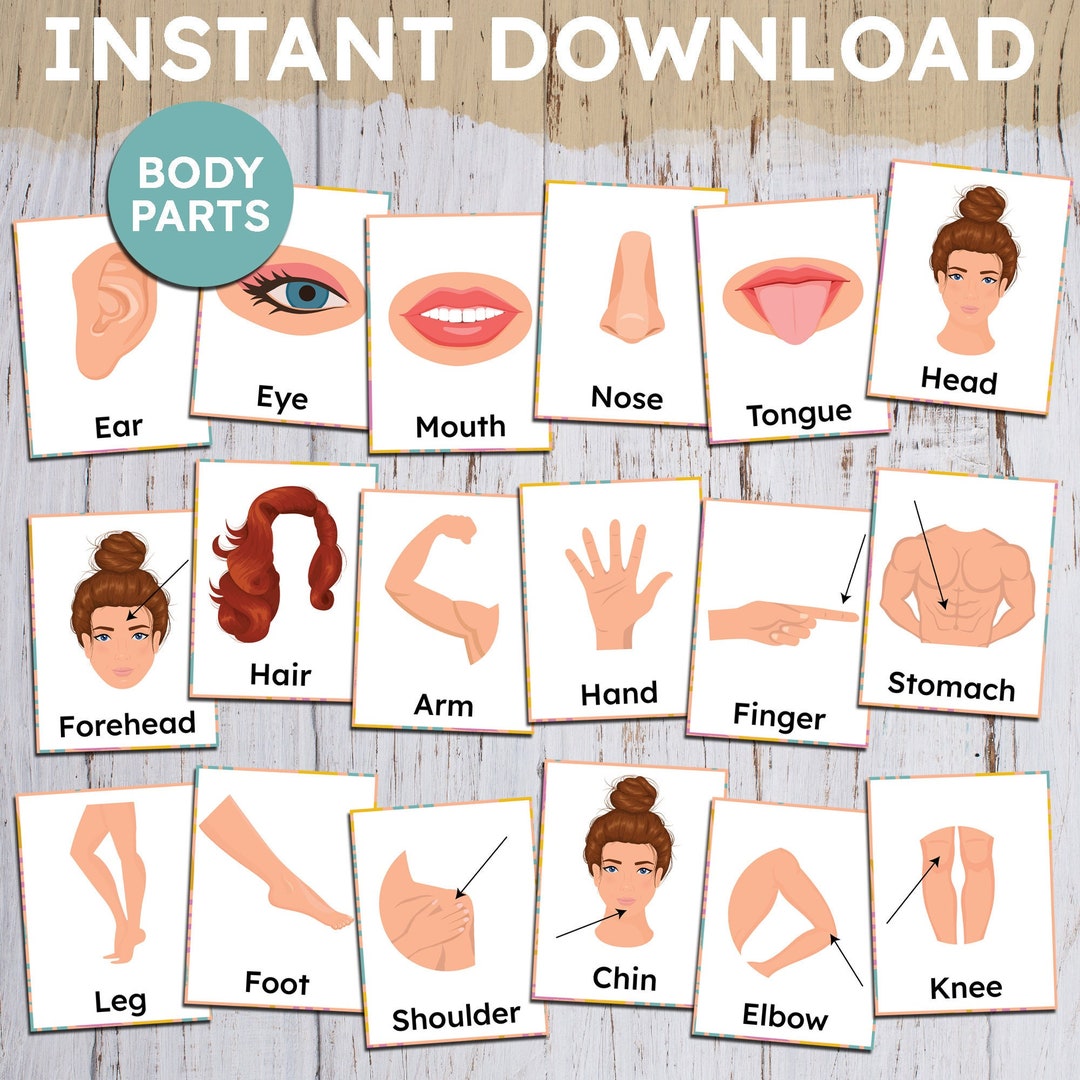 BODY PARTS , INSTANT Download Montessori Cards, Printable Montessori ...