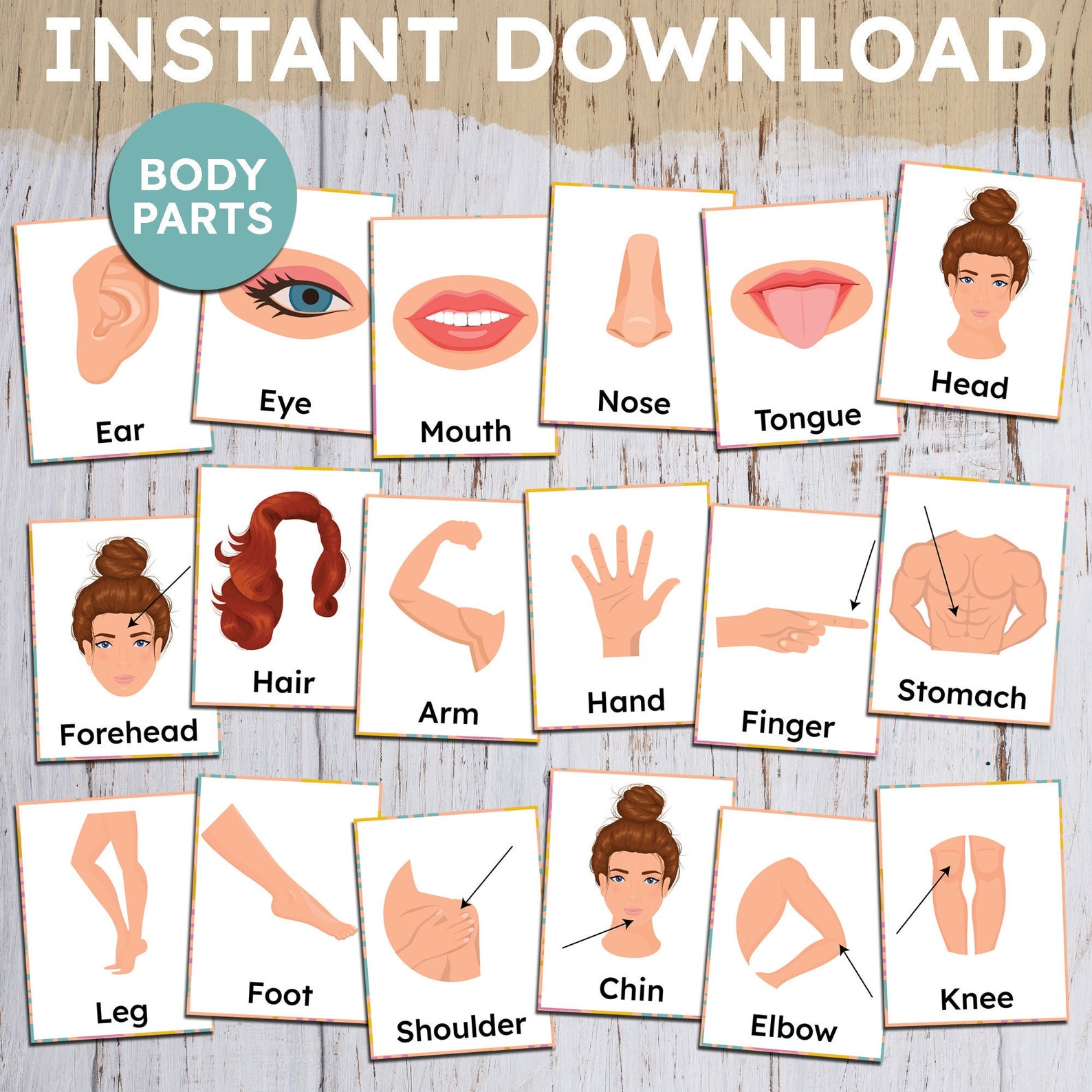 BODY PARTS , INSTANT Download Montessori Cards, Printable Montessori ...
