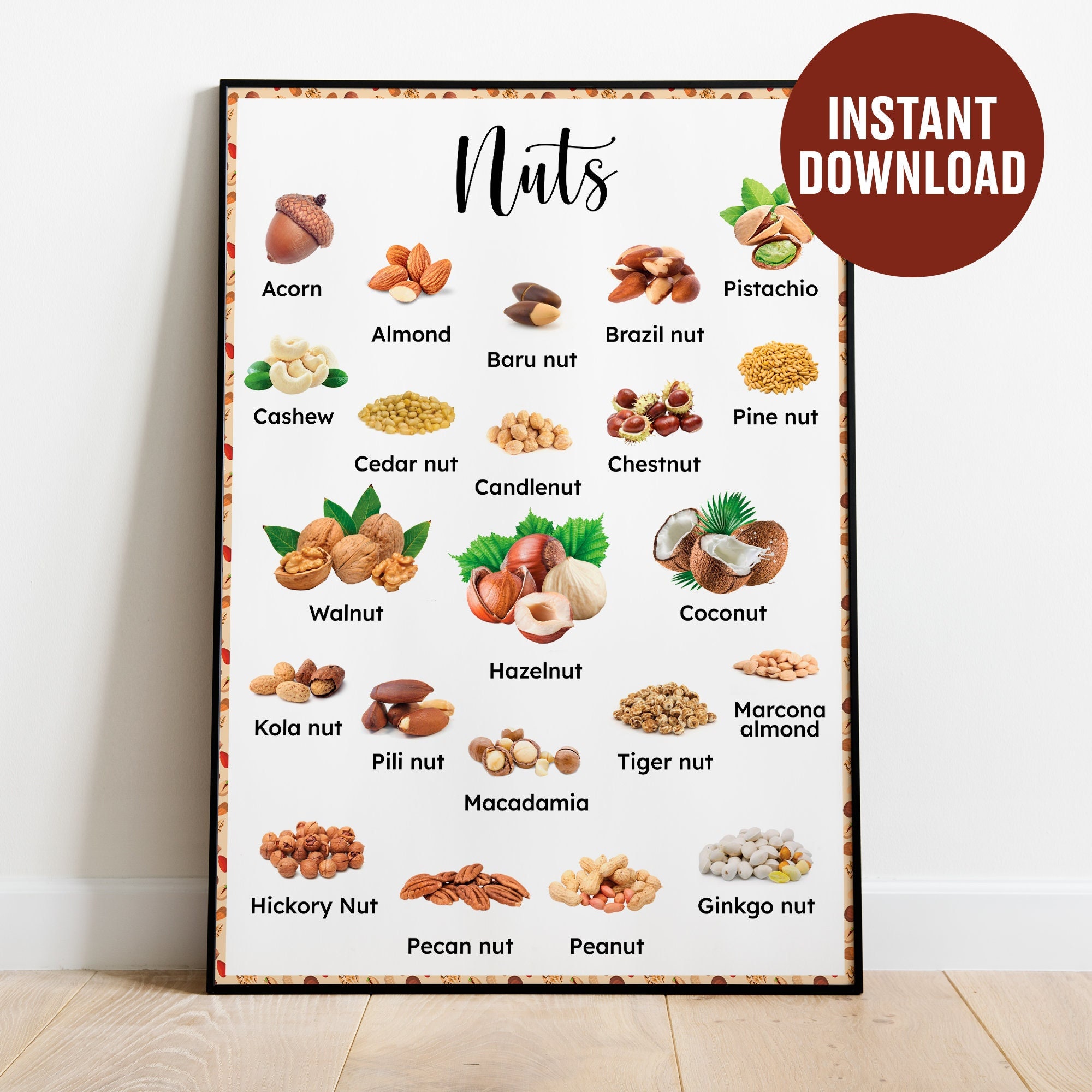 Nuts Poster, INSTANT DOWNLOAD Montessori Poster, Printable Montessori ...