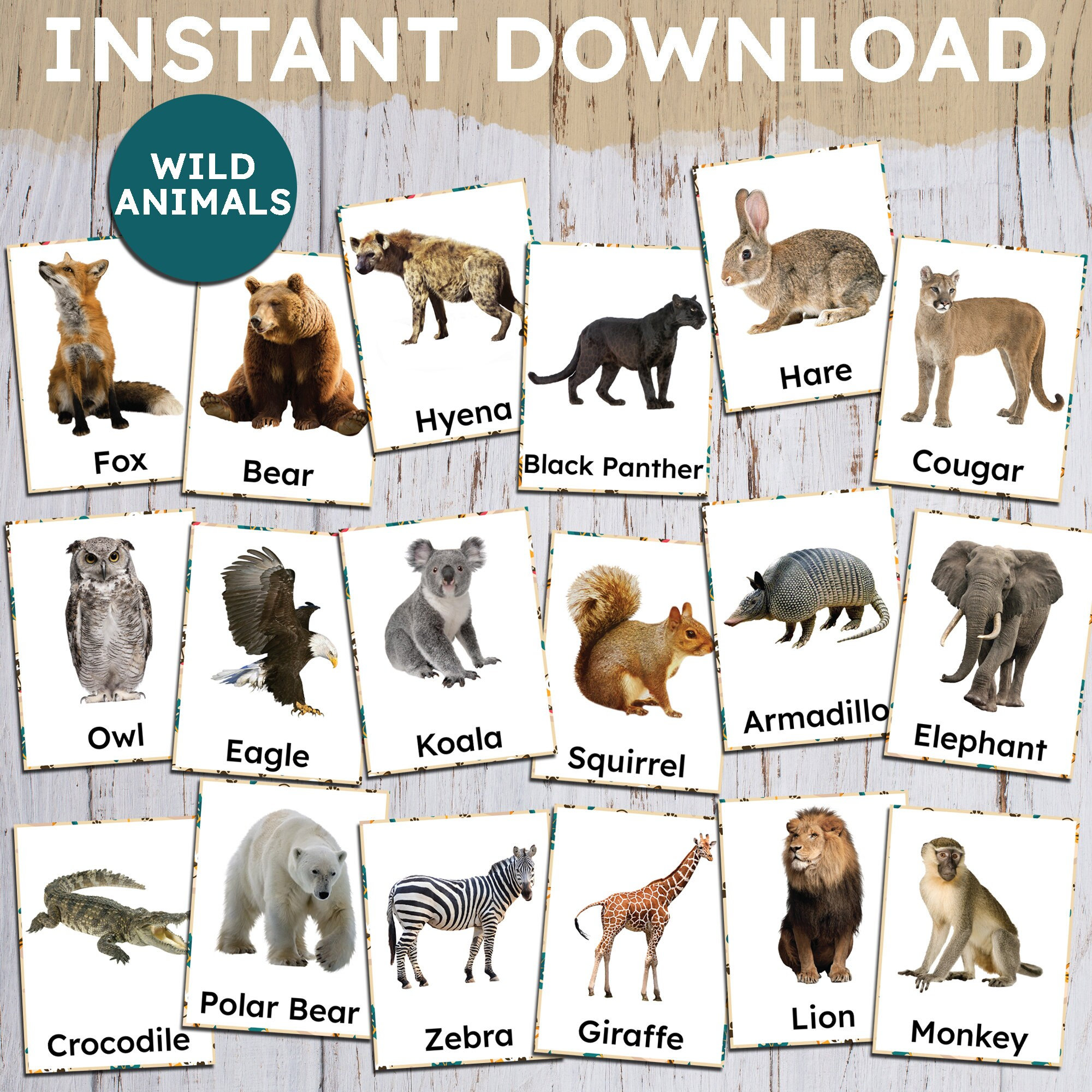 WILD ANIMALS, INSTANT Download Montessori Cards, Printable Montessori ...