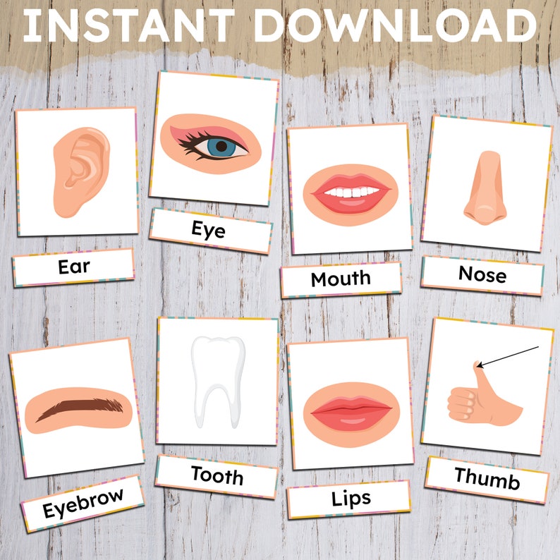 BODY PARTS , INSTANT Download Montessori Cards, Printable Montessori ...