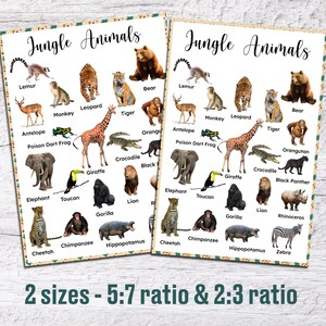 Jungle Animals Poster, INSTANT DOWNLOAD Montessori Poster, Printable ...