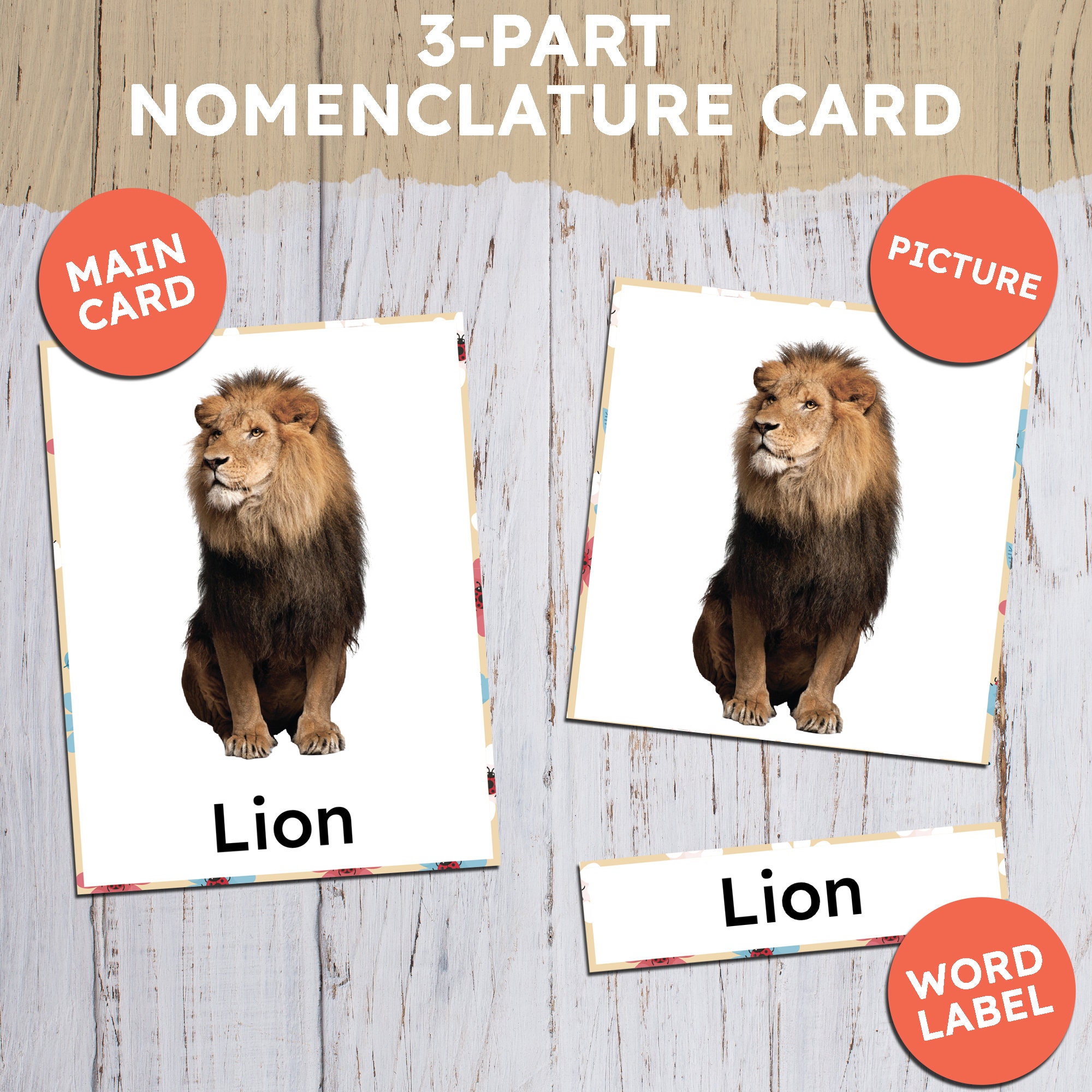 LIVING / NON-LIVING, Instant Download Montessori Cards, Printable ...