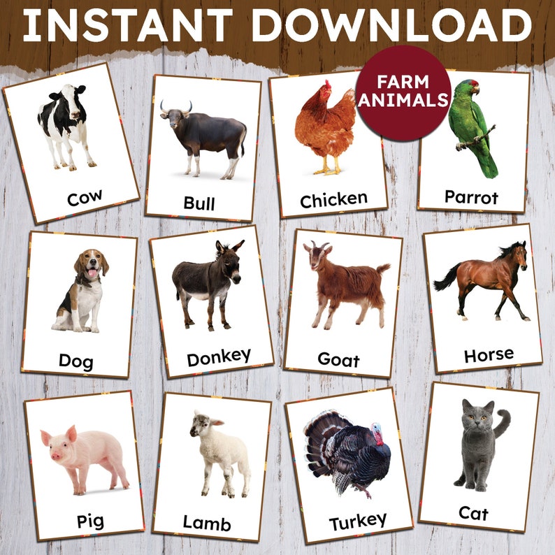 FARM ANIMALS, INSTANT Download Montessori Cards, Printable Montessori ...