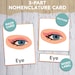 BODY PARTS , INSTANT Download Montessori Cards, Printable Montessori ...