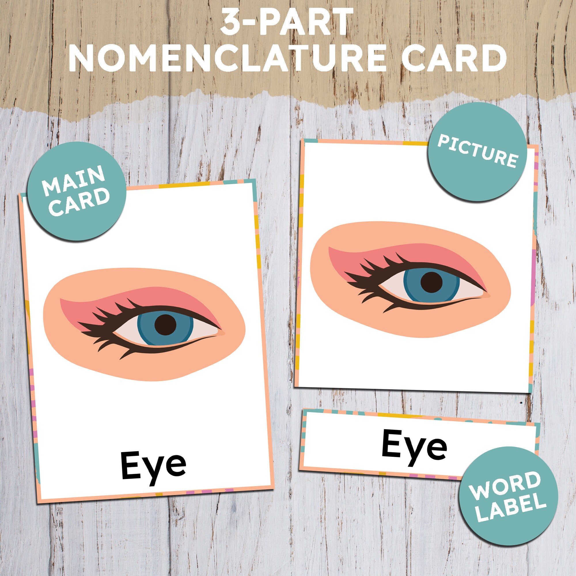 BODY PARTS , INSTANT Download Montessori Cards, Printable Montessori ...