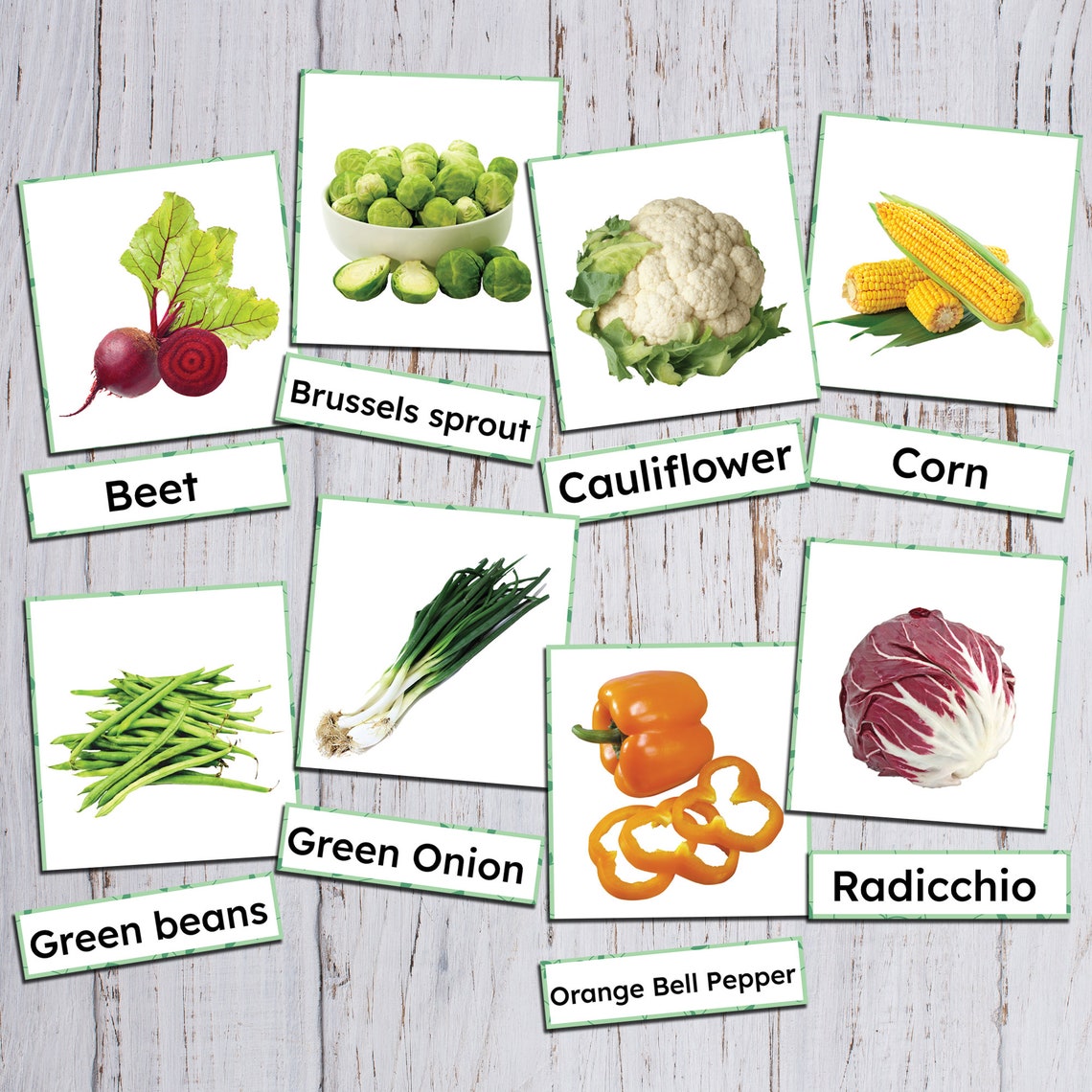 VEGETABLES, INSTANT DOWNLOAD Montessori Cards, Printable Montessori ...