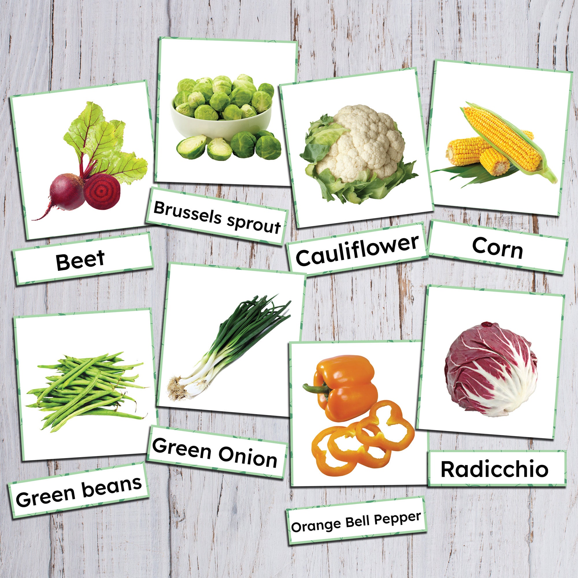 VEGETABLES, INSTANT DOWNLOAD Montessori Cards, Printable Montessori ...