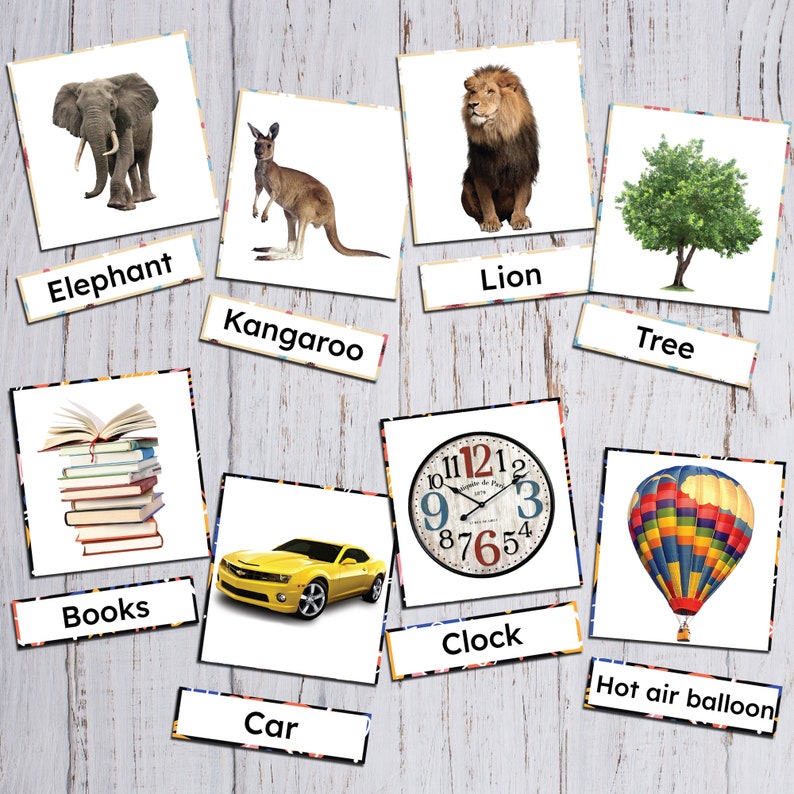 LIVING / NON-LIVING, Instant Download Montessori Cards, Printable ...