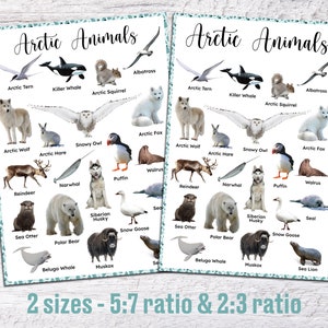Arctic Animals Poster, INSTANT DOWNLOAD Montessori Poster, Printable ...