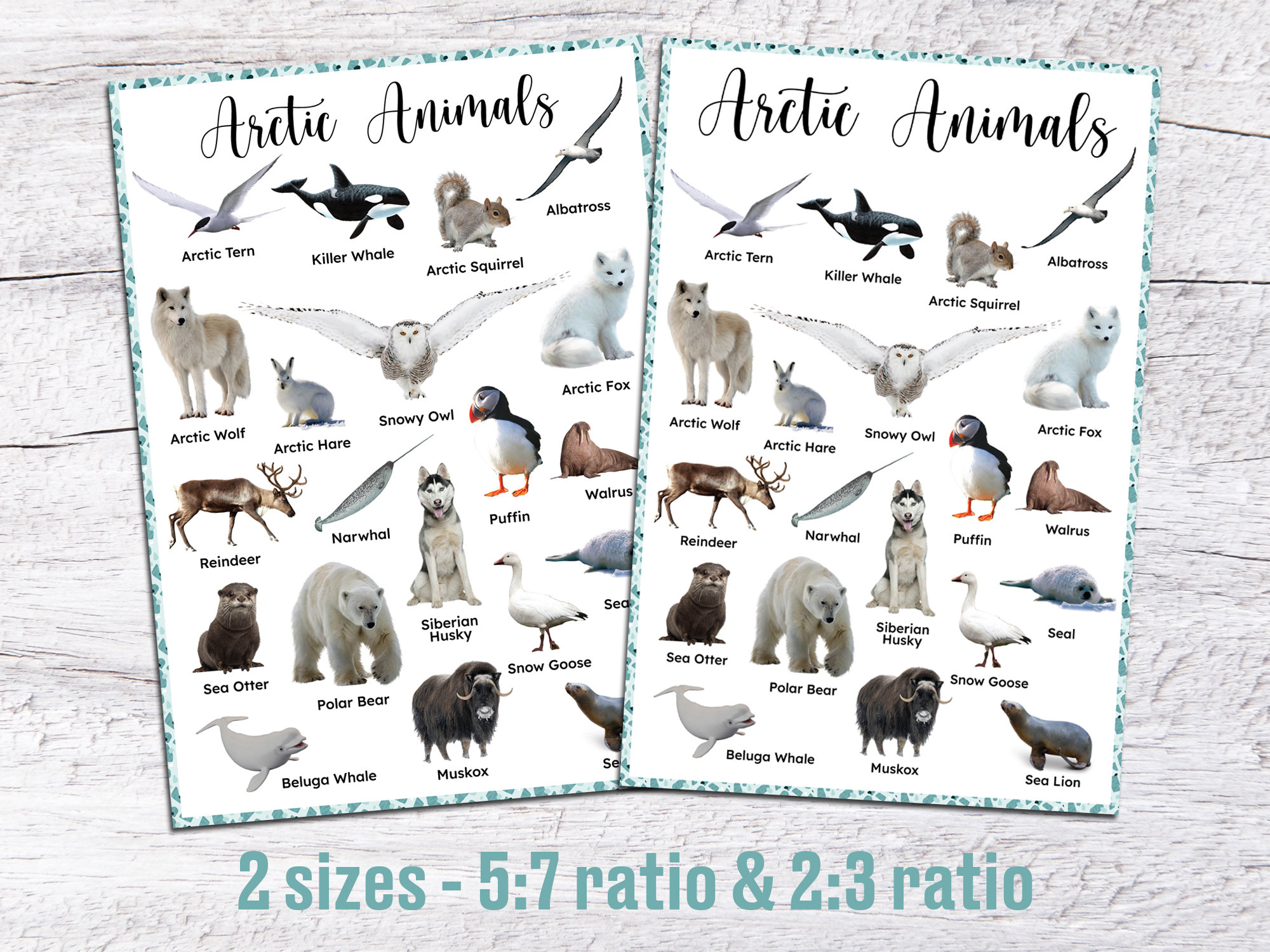Arctic Animals Poster, INSTANT DOWNLOAD Montessori Poster, Printable ...