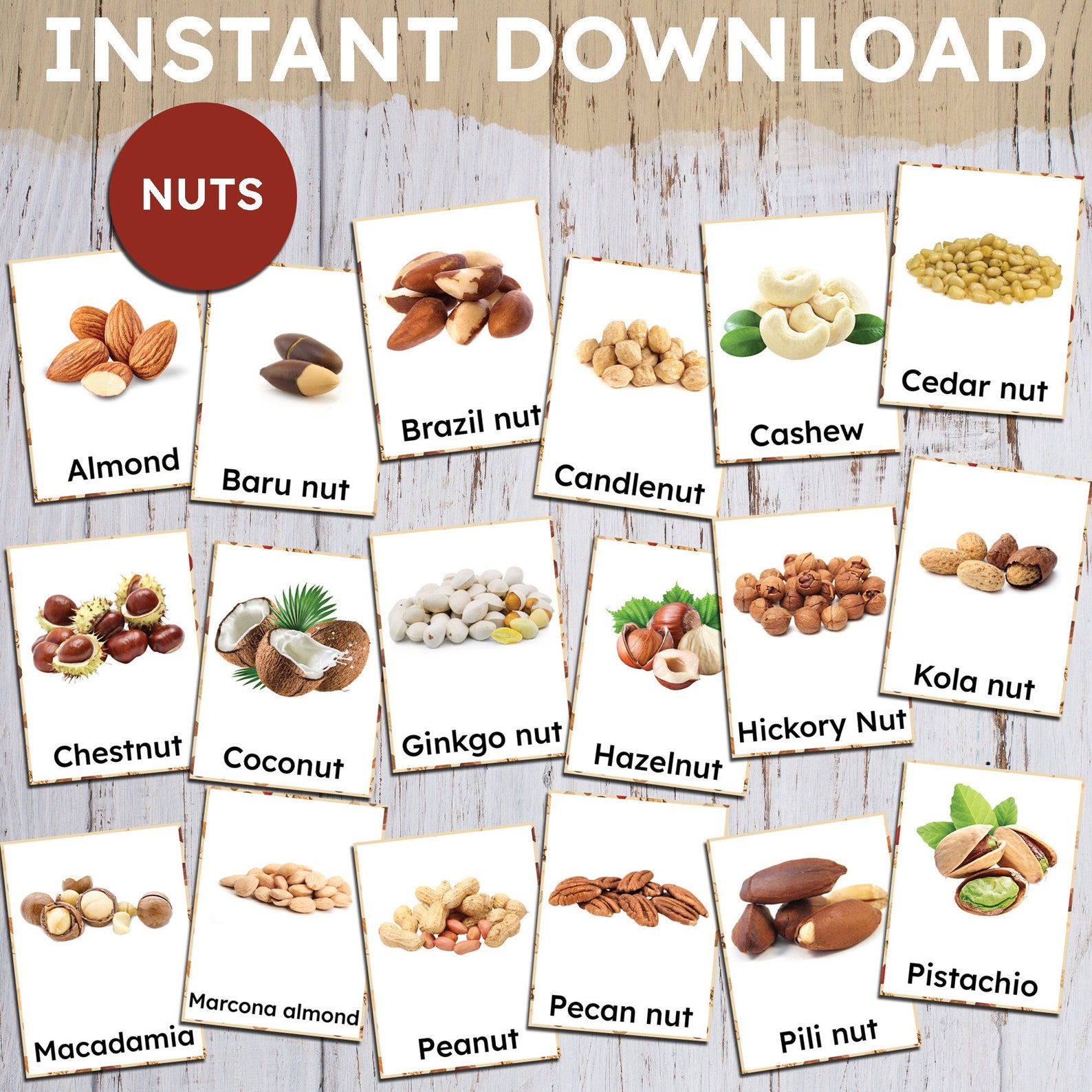 NUTS, INSTANT DOWNLOAD Montessori Cards, Printable Montessori Cards ...