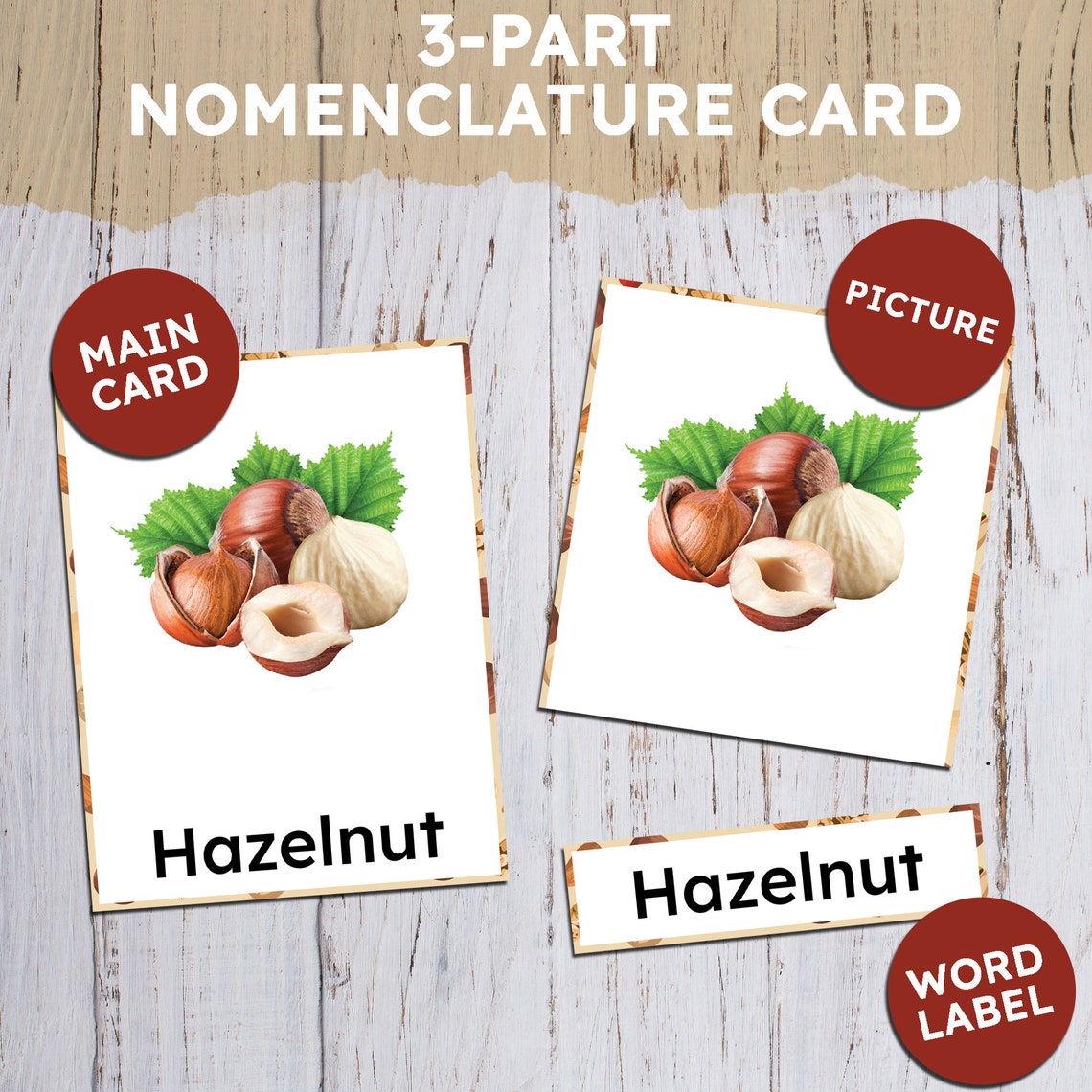 NUTS, INSTANT DOWNLOAD Montessori Cards, Printable Montessori Cards ...