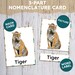 WILD ANIMALS, INSTANT Download Montessori Cards, Printable Montessori ...