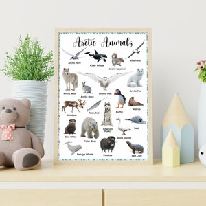 Arctic Animals Poster, INSTANT DOWNLOAD Montessori Poster, Printable ...