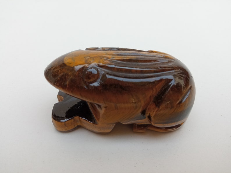 Tiger Eye Crystal Frog Carving Set, Natural Stone Healing - Etsy